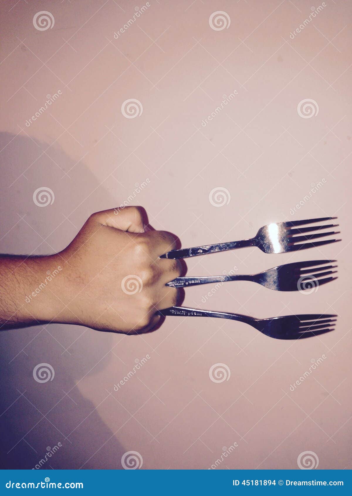 The Hungry wolverine stock photo. Image of ready, wolverine - 45181894