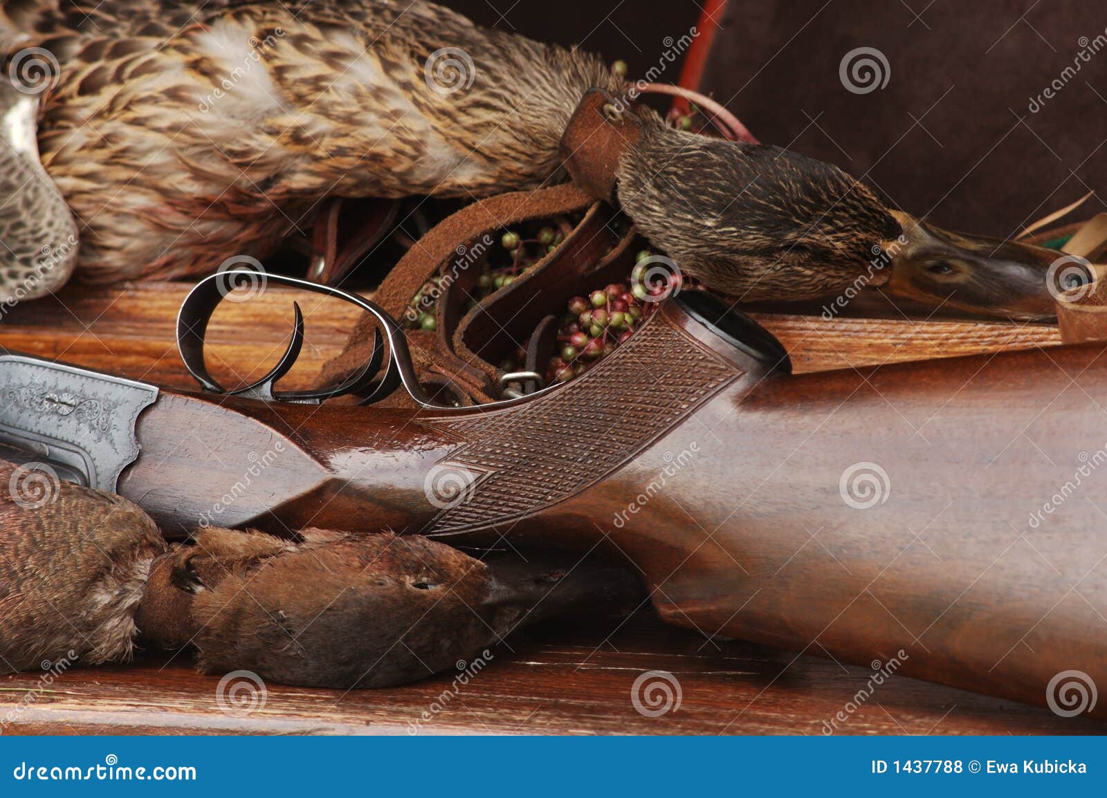 After hunt stock photo. Image of wildlife, trophy, duck - 1437788