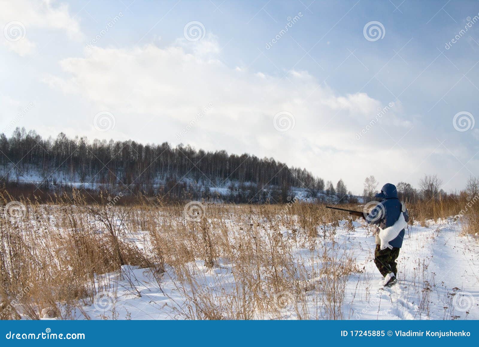The hunter stock image. Image of winter, scene, snow - 17245885