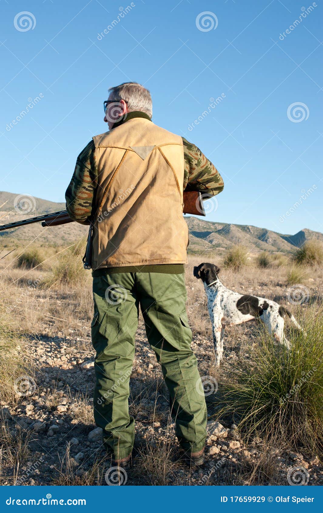 Hunter stock image. Image of shotgun, countryside, vertical - 17659929