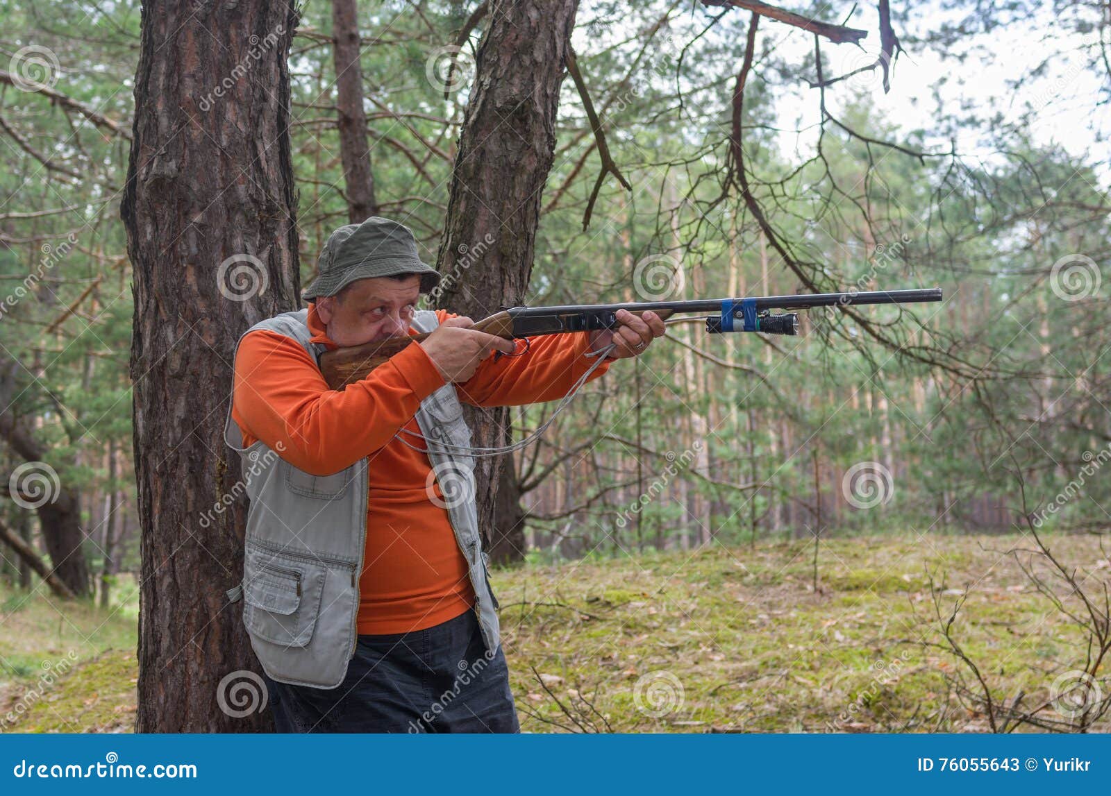 Hunter Aim Rifle in Pine Forest Stock Image - Image of light, chasseur ...
