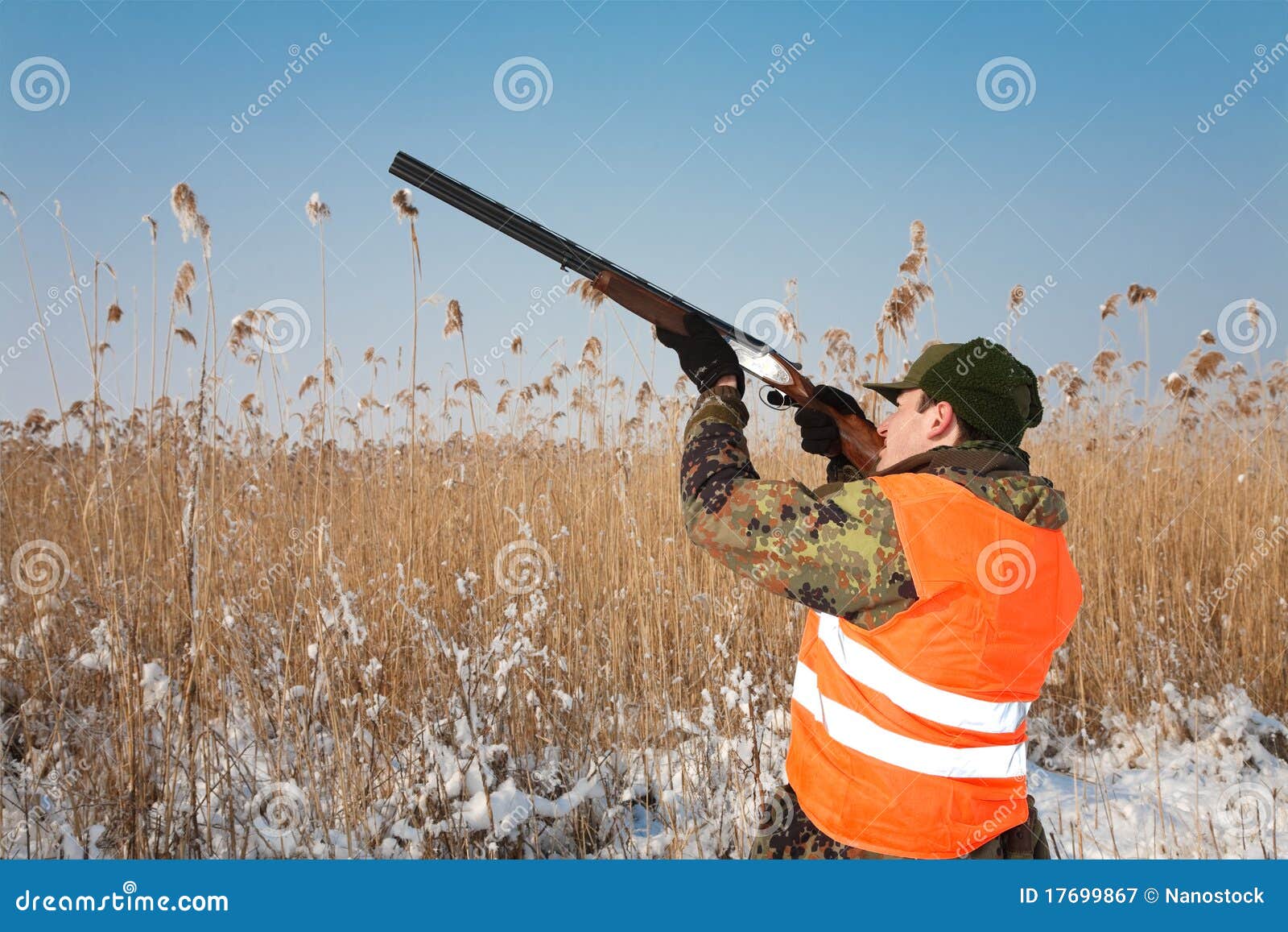 Hunter Aiming at the Hunt. Hunting Dog Waiting Stock Image - Image of ...