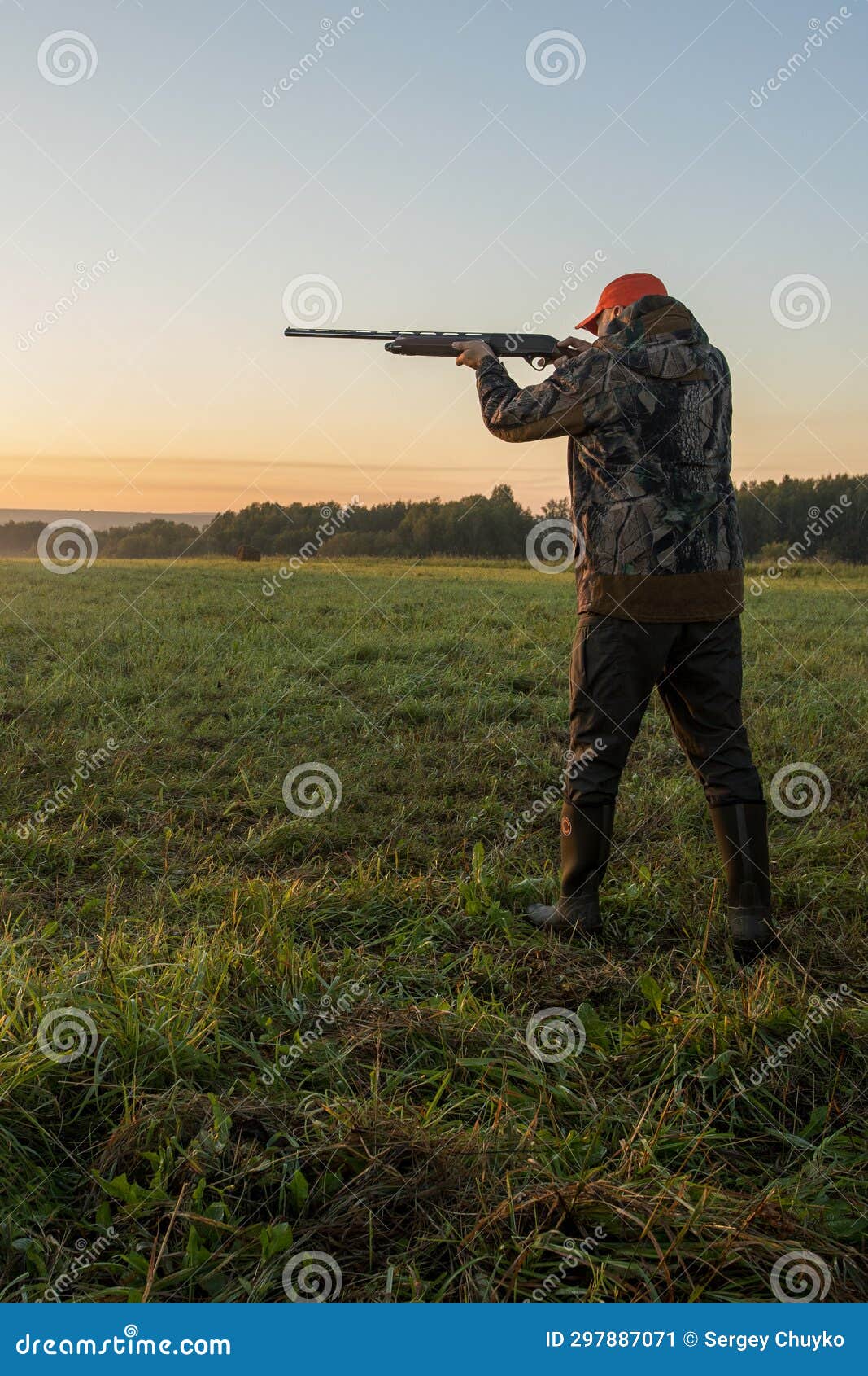 Hunter Aiming with Rifle on Pheasant Stock Image - Image of shooting ...