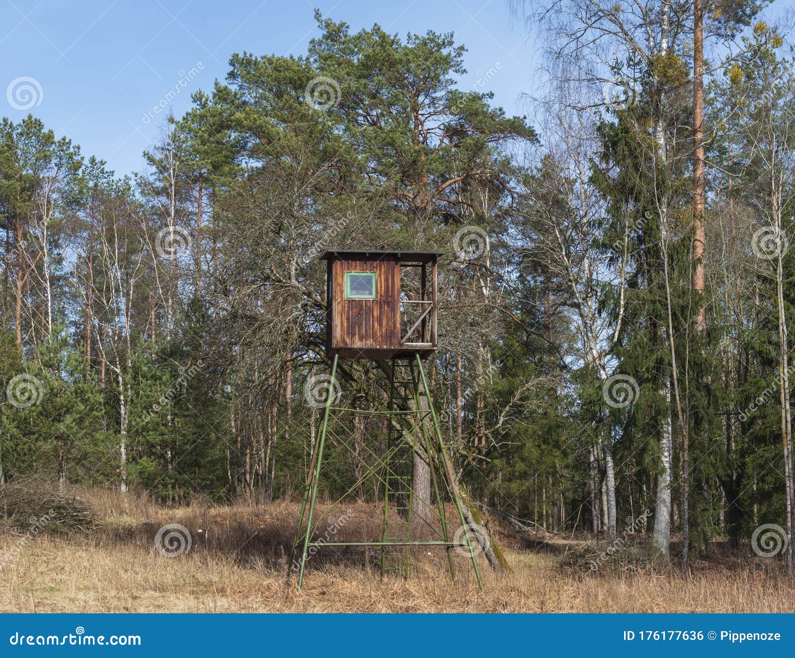 Hunter box in forest stock photo. Image of deer, background - 176177636