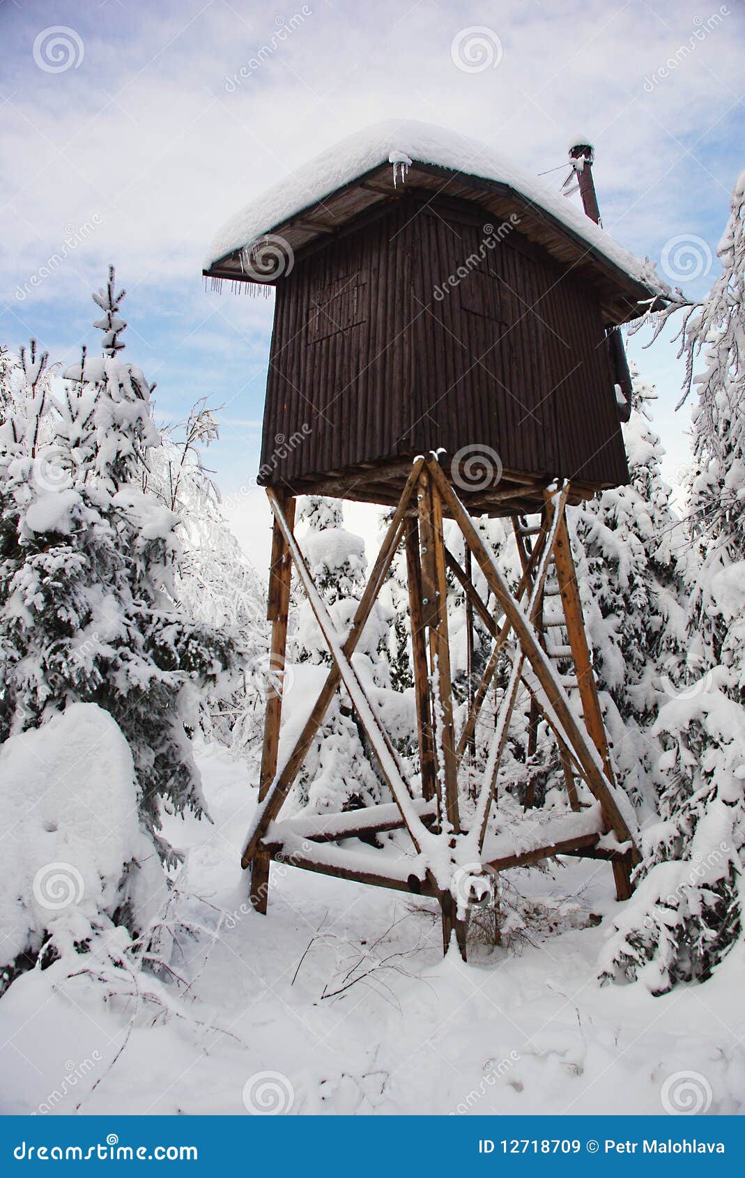 Hunter Cabin. Shooting Tower Stock Image - Image of waiting, shoot ...