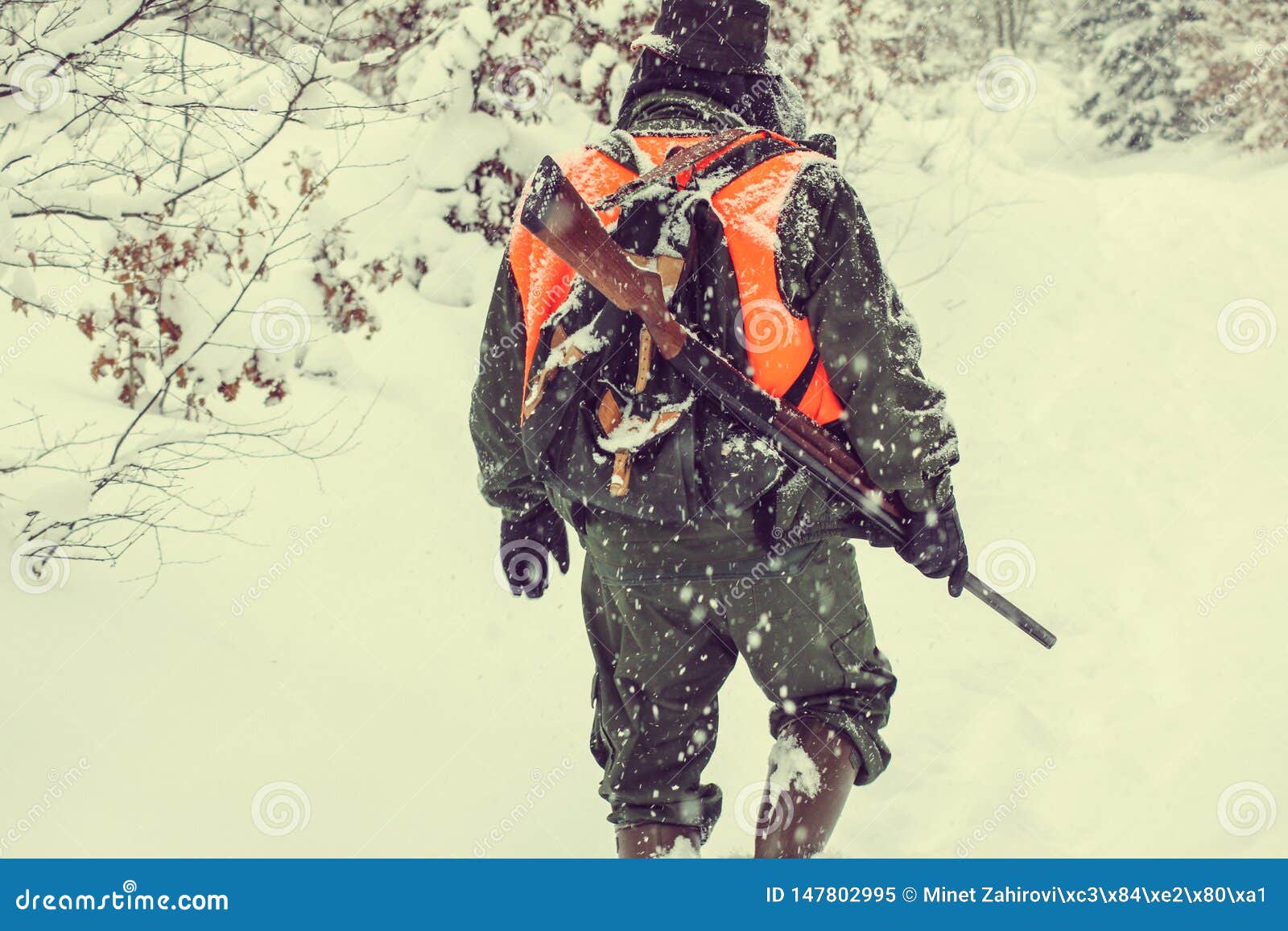 Hunter in Camouflage with Shotgun on the Winter Hunting Stock Image ...