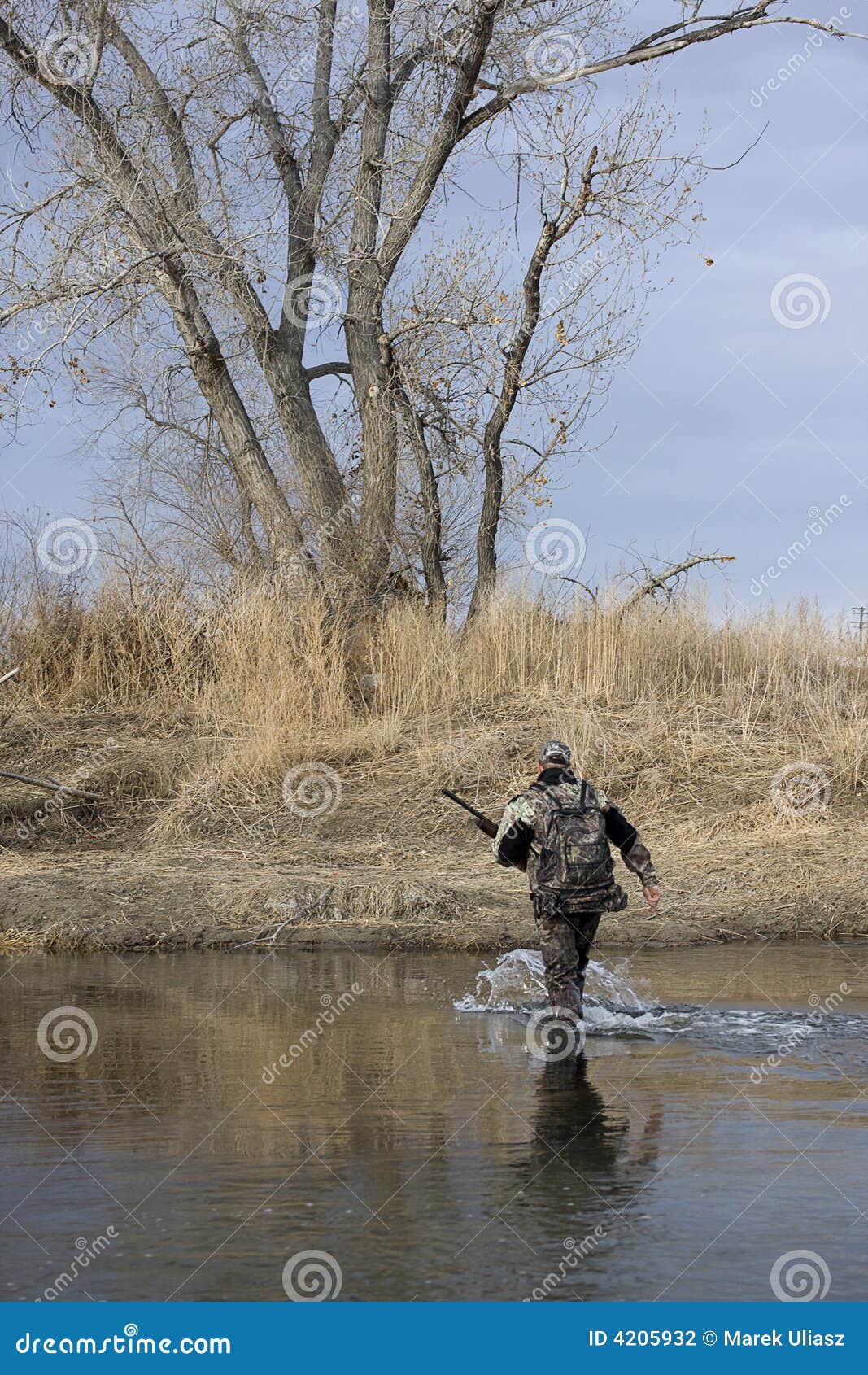 Hunter crossing a river stock photo. Image of wading, trapper - 4205932