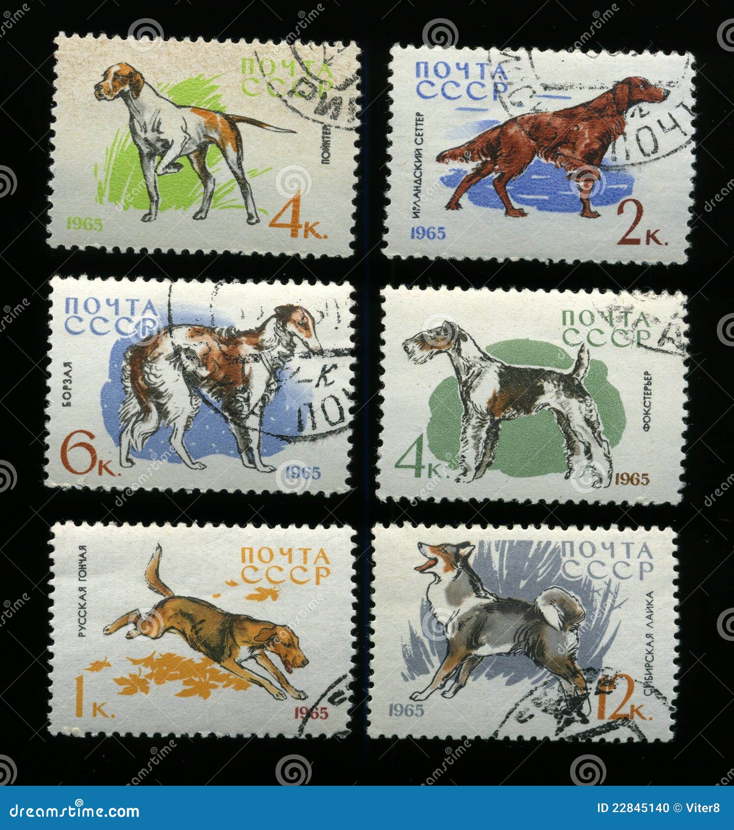 Two Hunters With Dogs And Shotguns In A Traditional Shooting Clothing ...