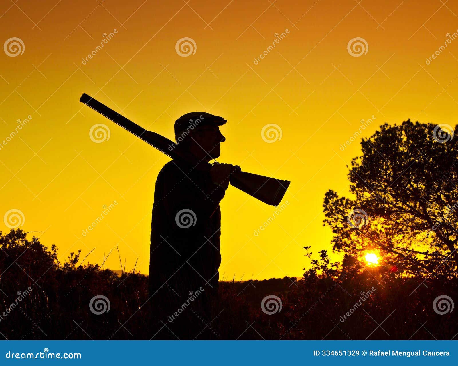 Hunter in the field stock image. Image of hunter, cazador - 334651329