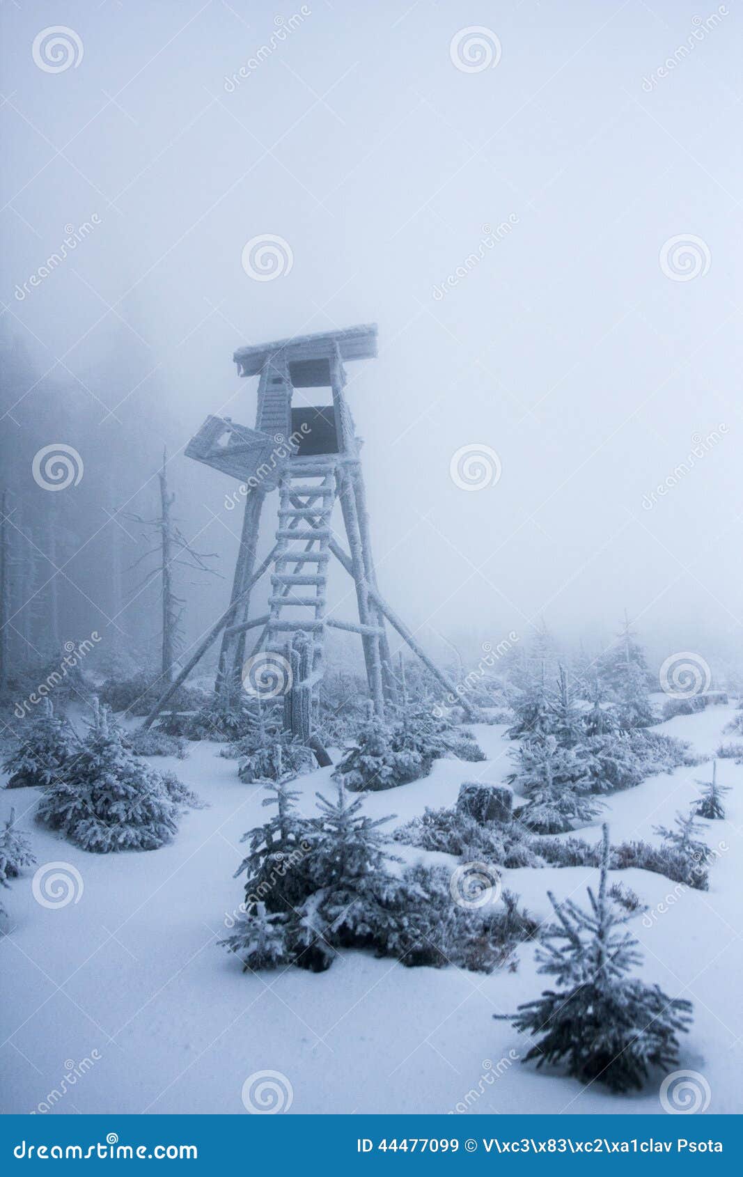 Hunter hide stock image. Image of trees, snow, frost - 44477099