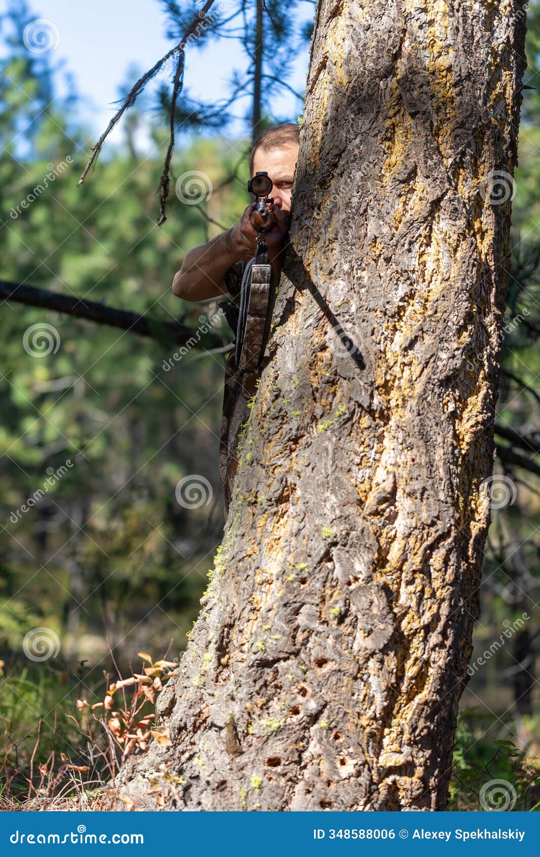 Front View of Hunter Shooting Rifle Behind Large Tree. Stock Photo ...