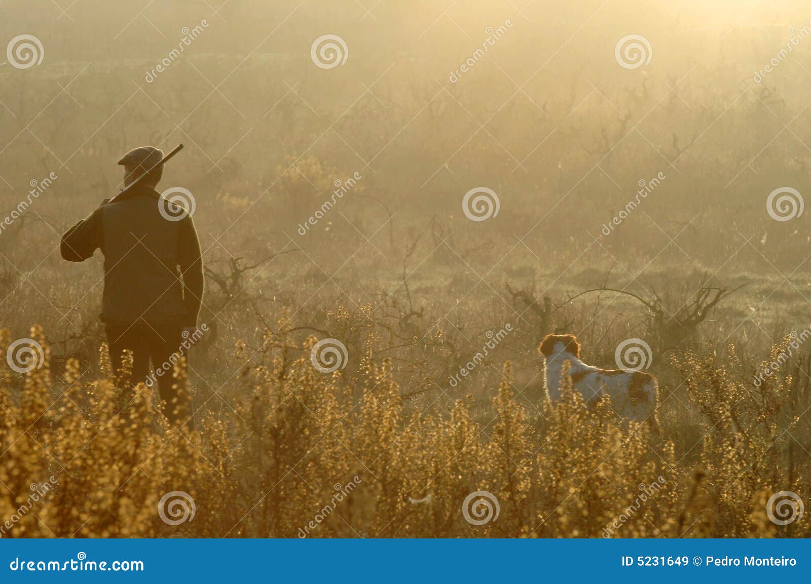 Hunter and his dog stock image. Image of animal, leisure - 5231649