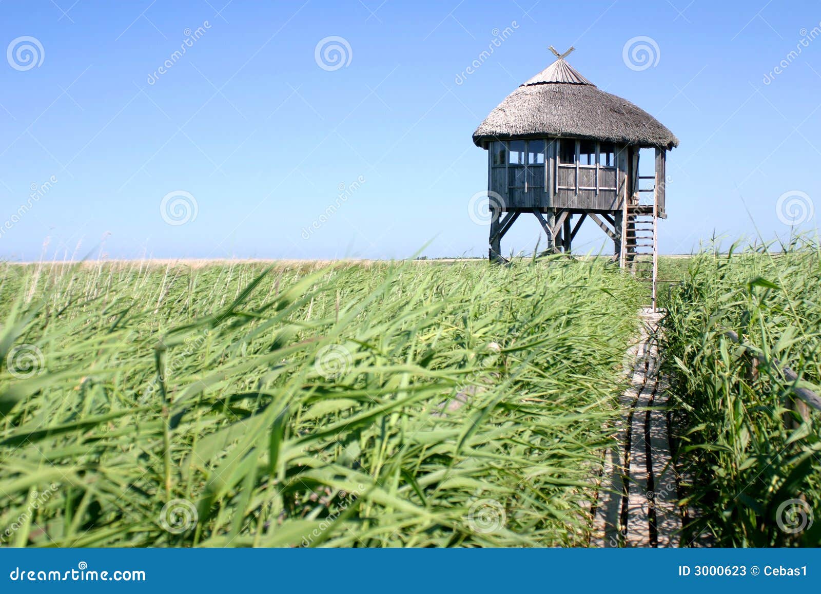 Hunter house stock image. Image of hunting, tower, rural - 3000623