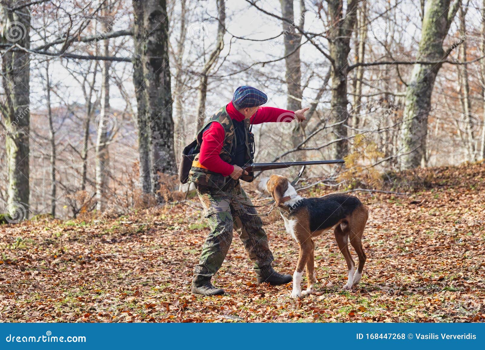 Hunter and Hunting Dog Chasing in the Forest Stock Photo - Image of ...