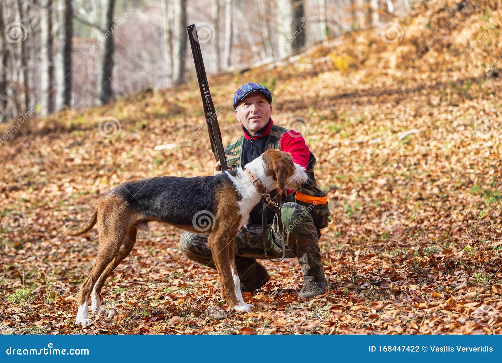 Hunter and Hunting Dog Chasing in the Forest Stock Photo - Image of ...