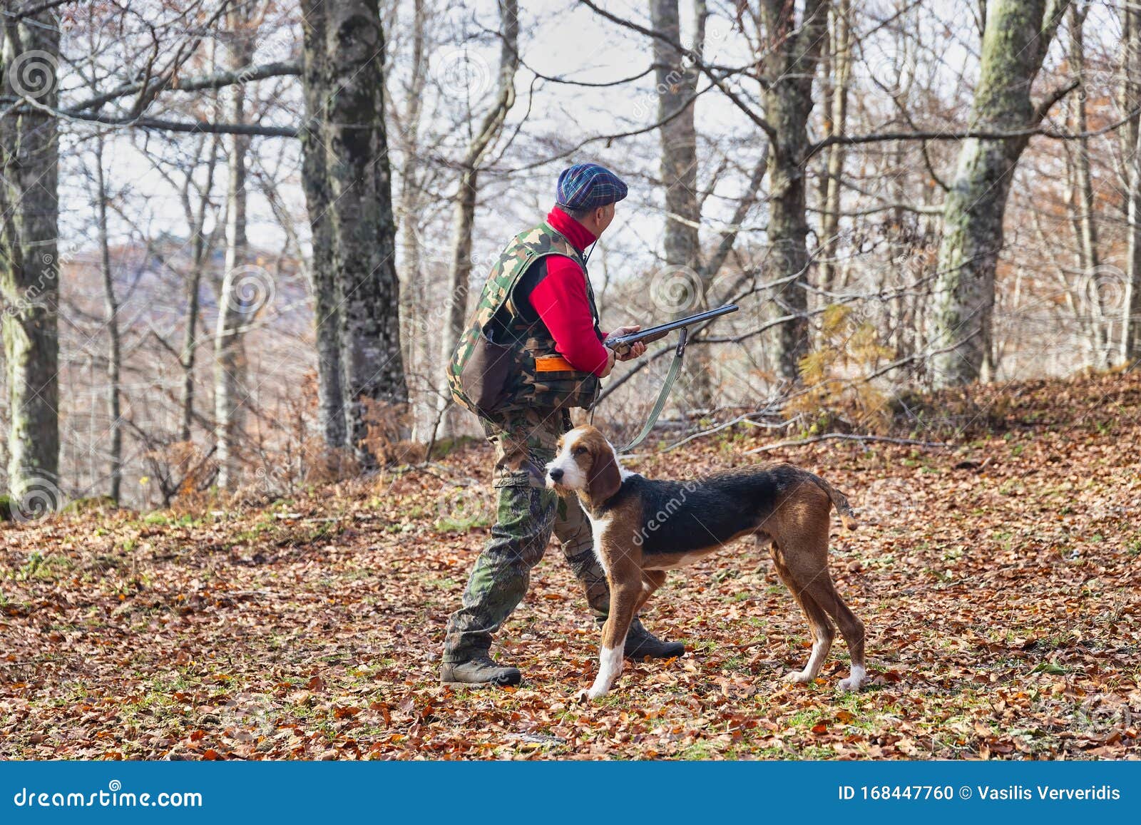 Hunter and Hunting Dog Chasing in the Forest Stock Photo - Image of ...