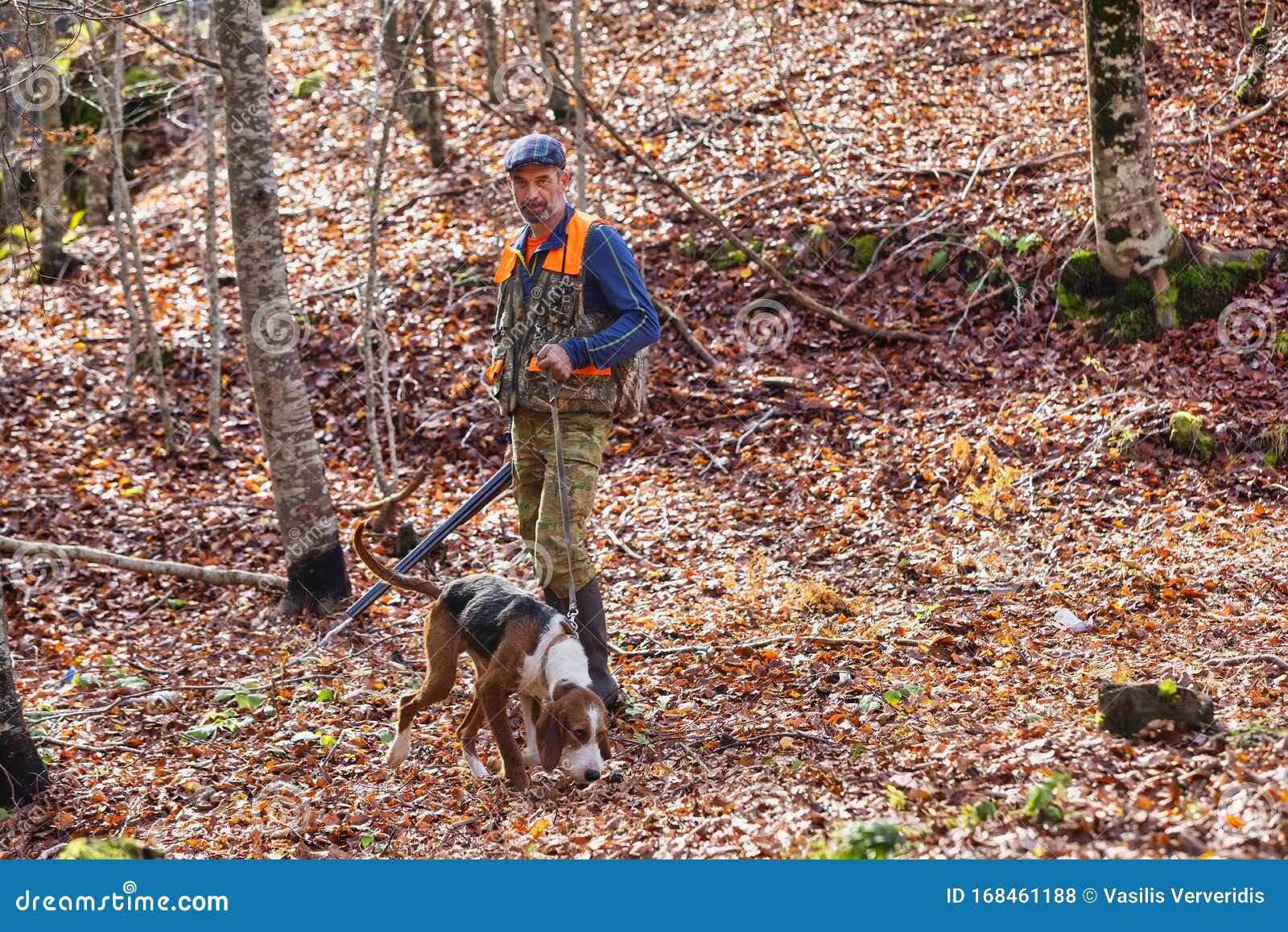 Hunter and Hunting Dog Chasing in the Forest Stock Photo - Image of ...