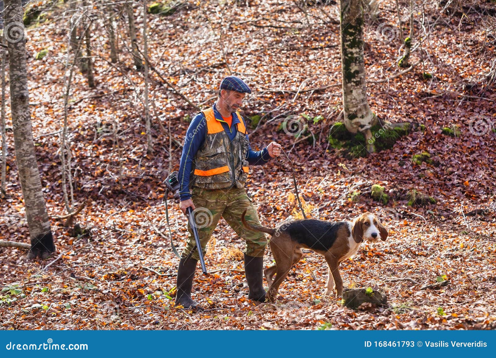 Hunter and Hunting Dog Chasing in the Forest Stock Image - Image of ...