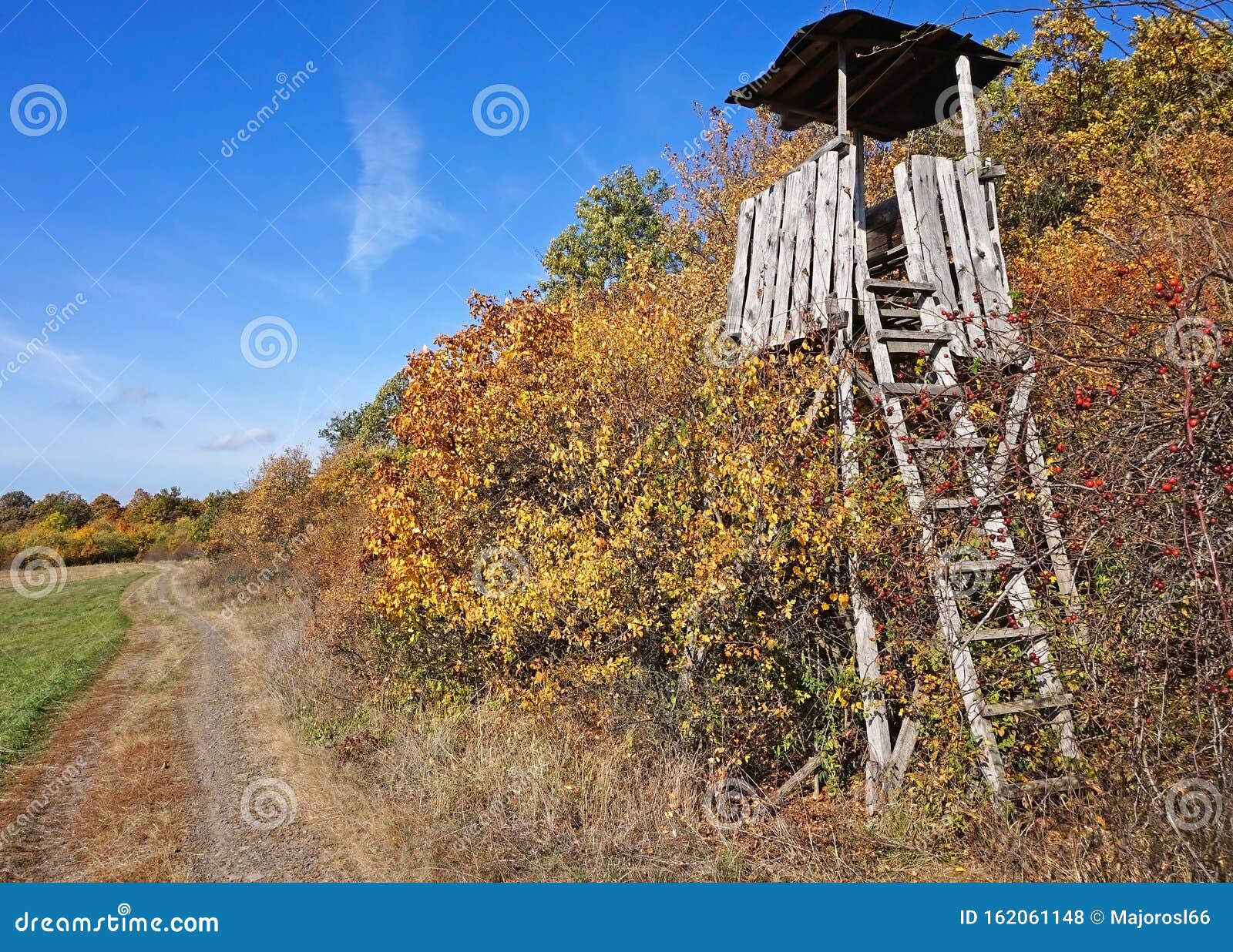 Hunter Hut Next To the Woods in Matra, Hungary Stock Photo - Image of ...