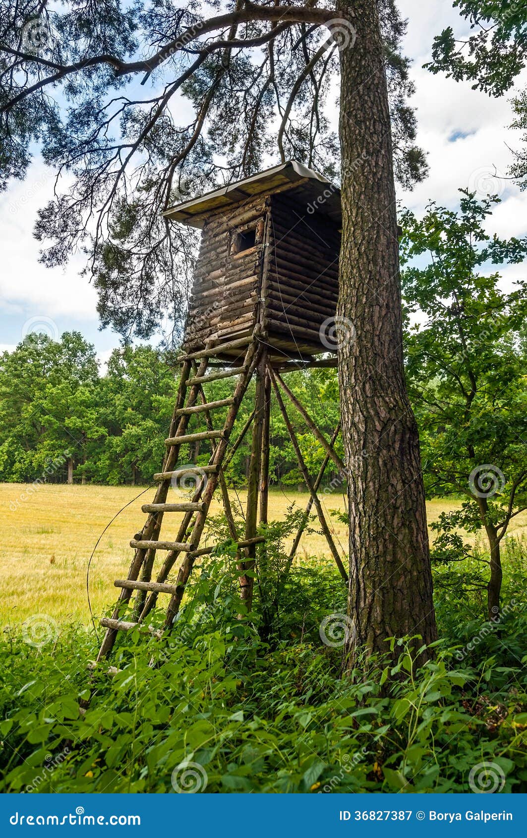 Hunter hut stock image. Image of discovery, forester - 36827387