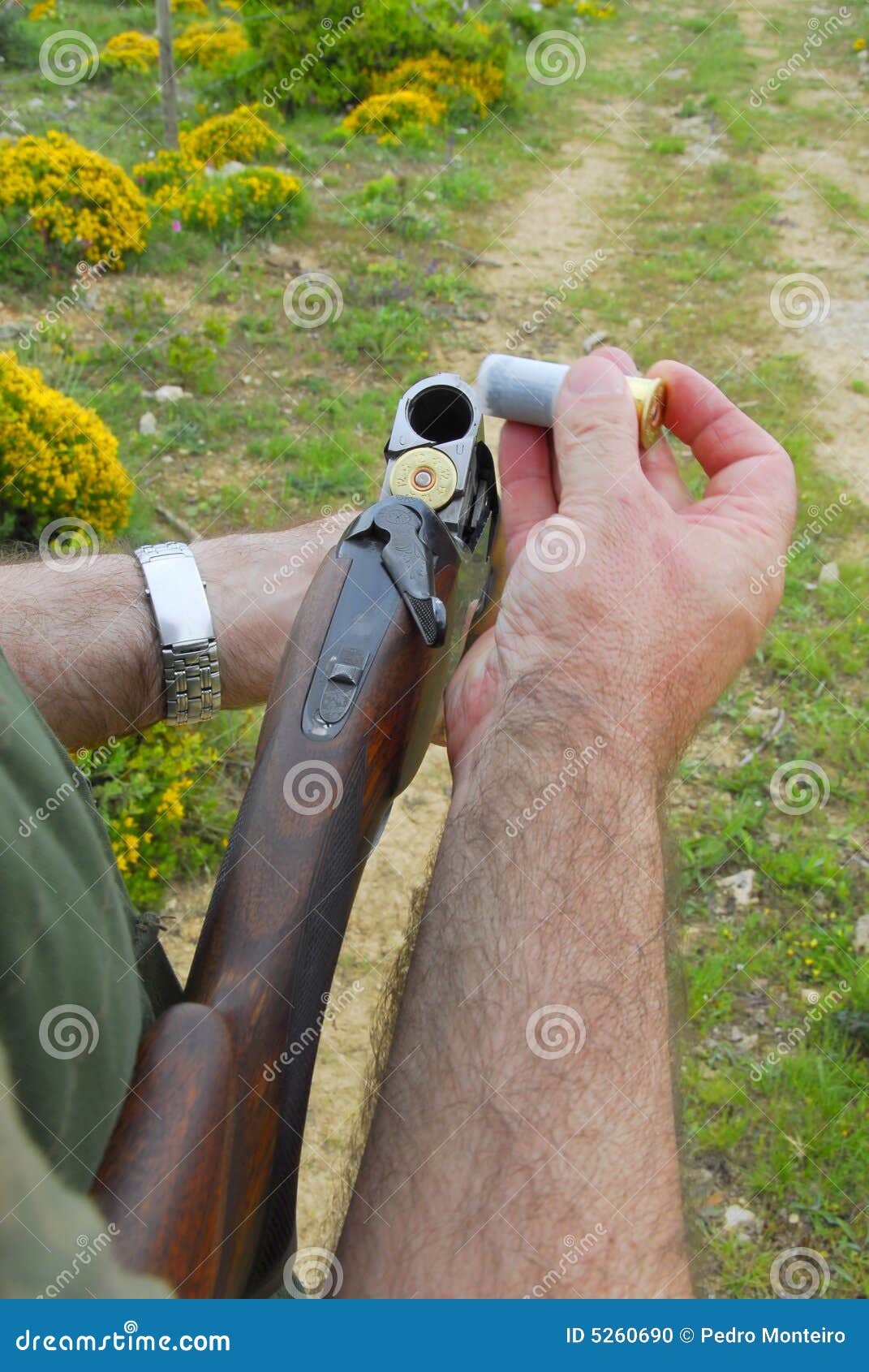Hunter loading his weapon stock photo. Image of hunt, sport - 5260690
