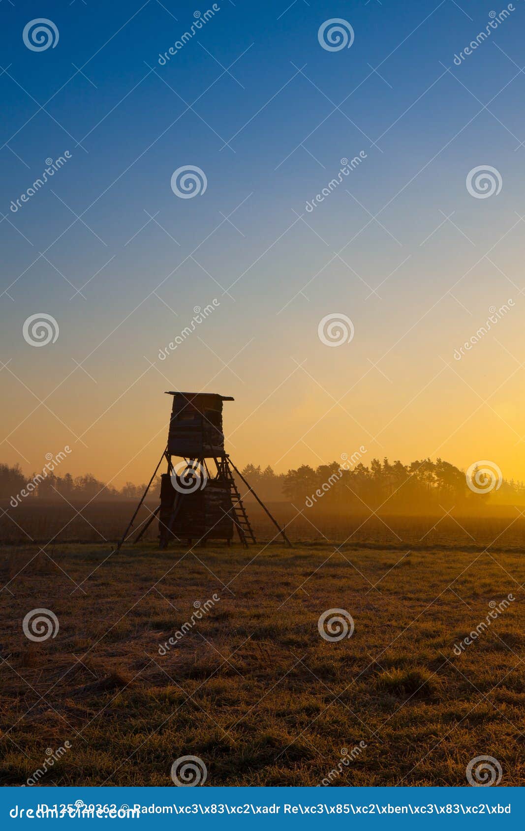 Hunter Lookout Tower in the Morning Mist Stock Photo - Image of ...