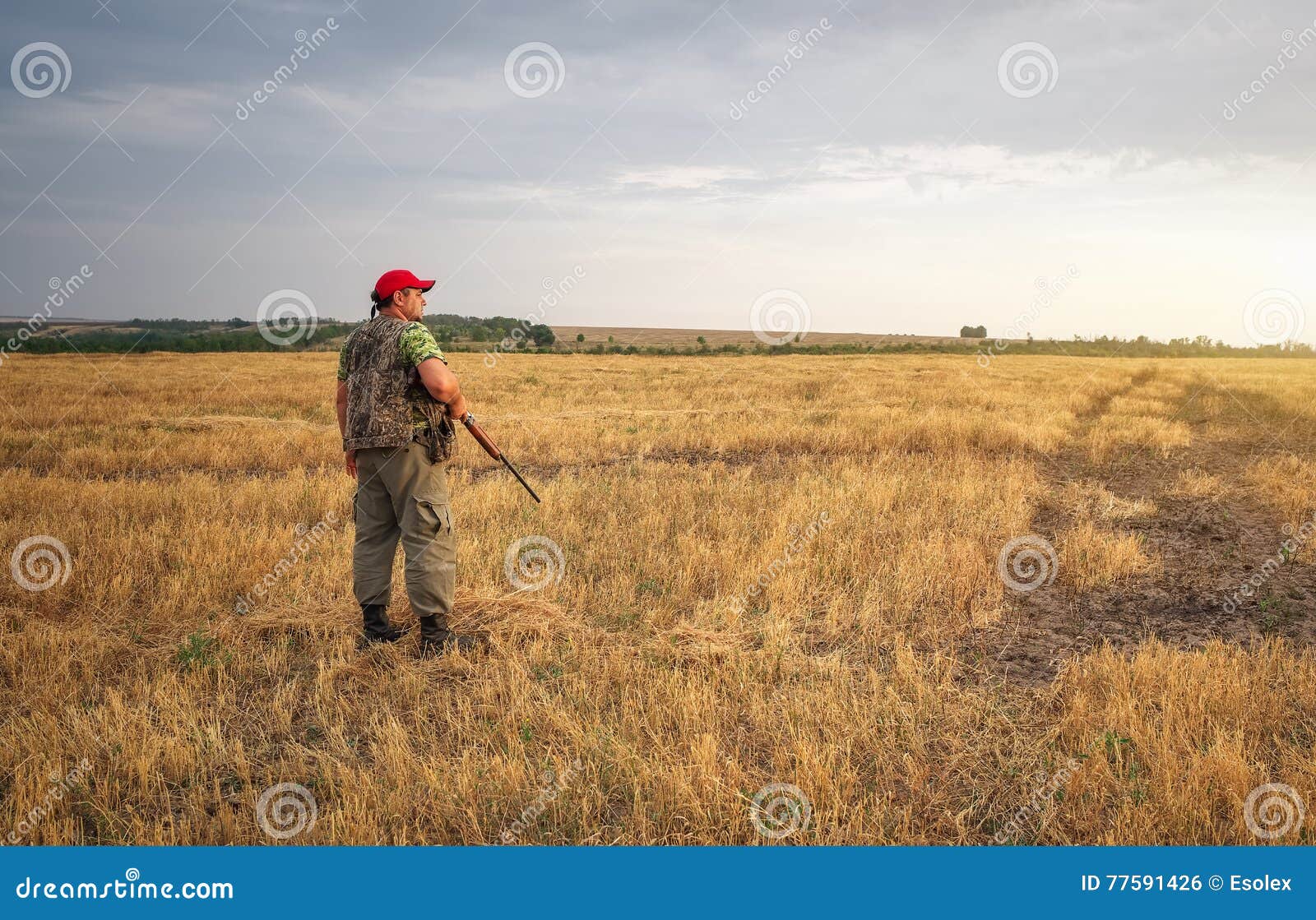 Hunter Moving with Shotgun Looking for Prey. Stock Photo - Image of ...