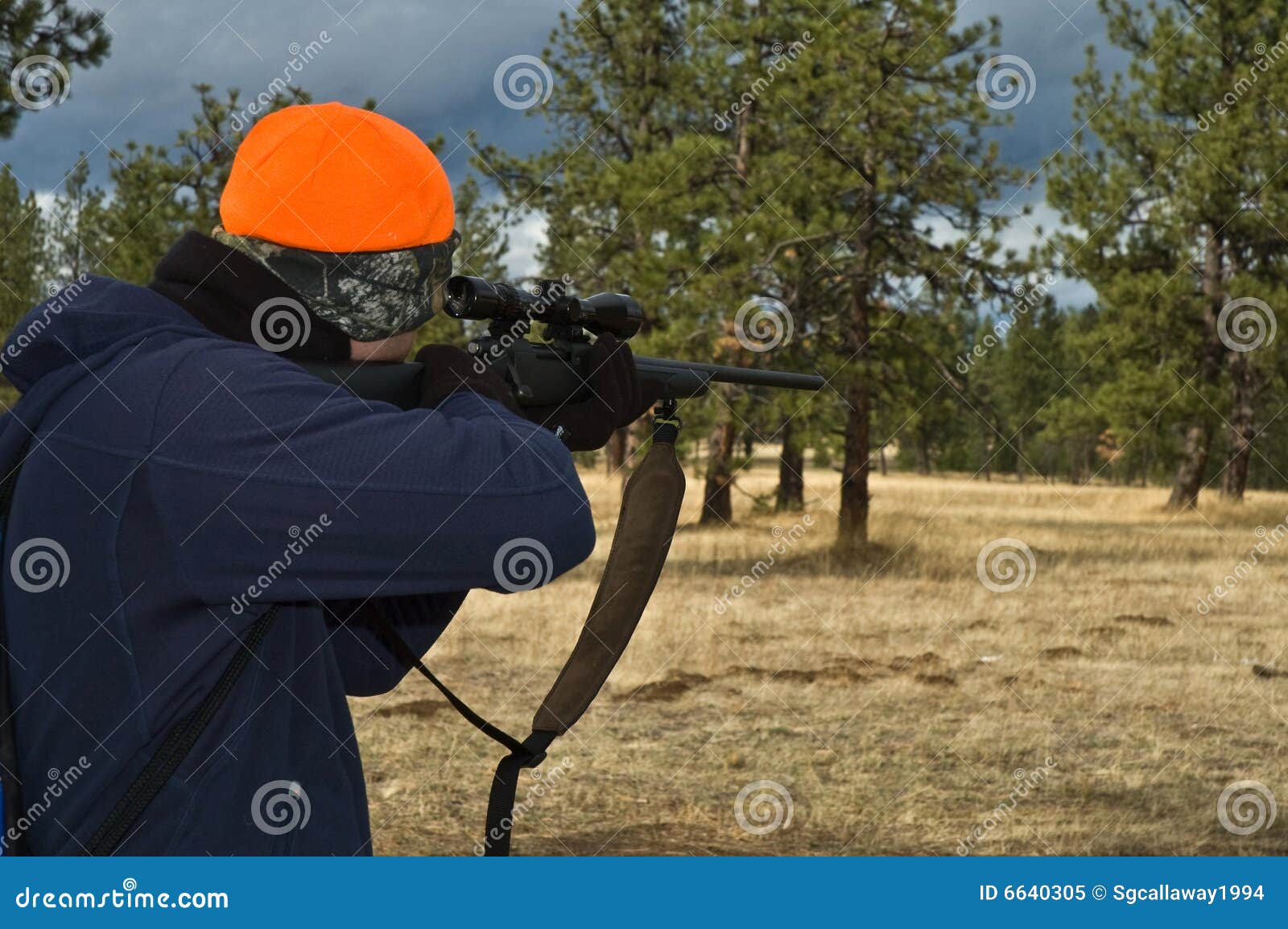 Hunter Pointing Rifle into Woods Stock Image - Image of point, alone ...