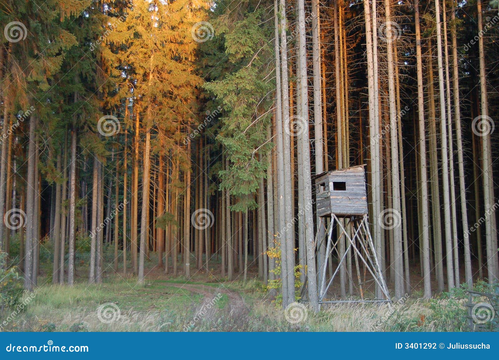 Hunter s hut stock photo. Image of deep, high, country - 3401292