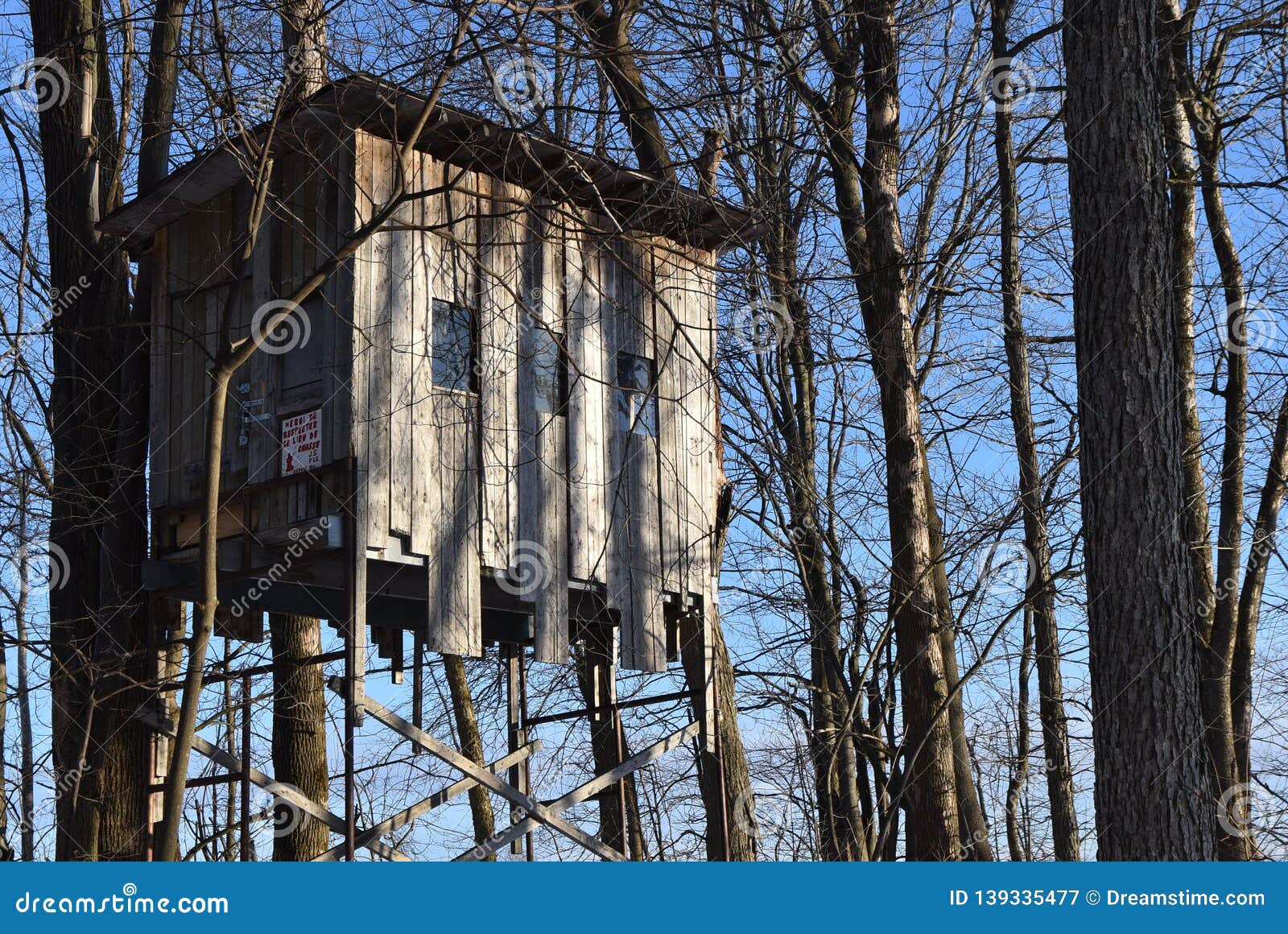 A hut in the trees stock image. Image of forest, trees - 139335477
