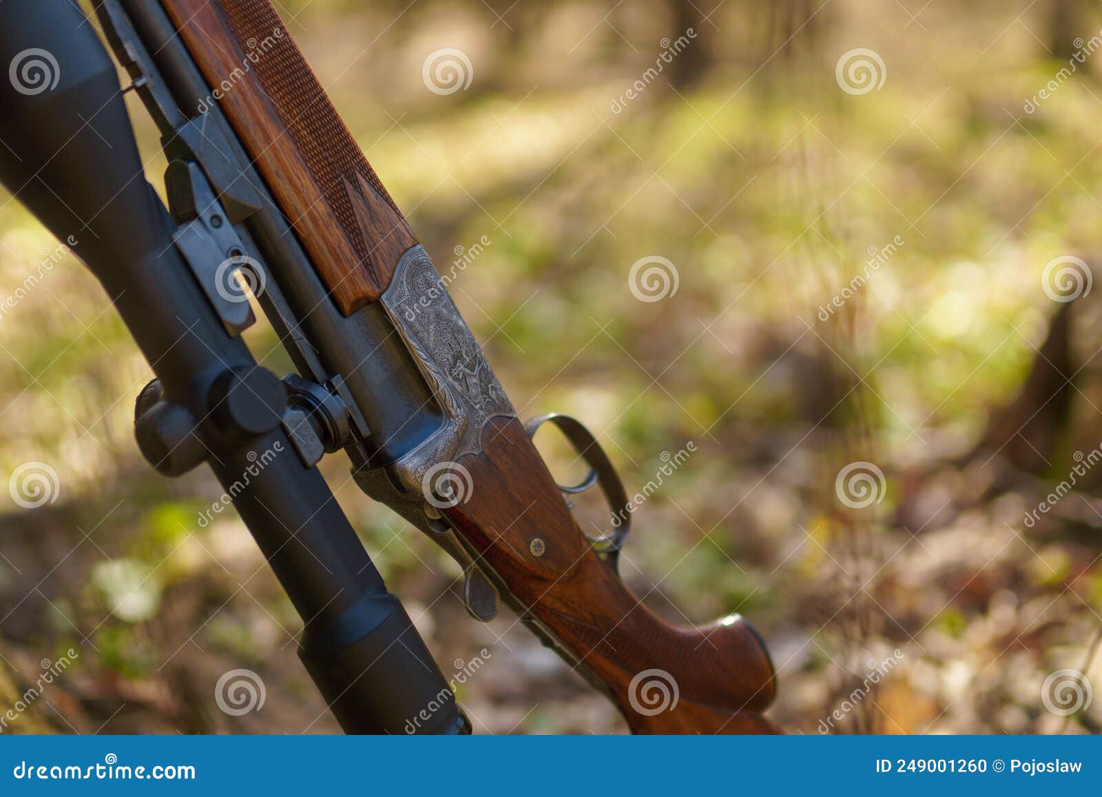 Hunter S Rifle Gun Near Tree in Forest. Stock Photo - Image of poacher ...