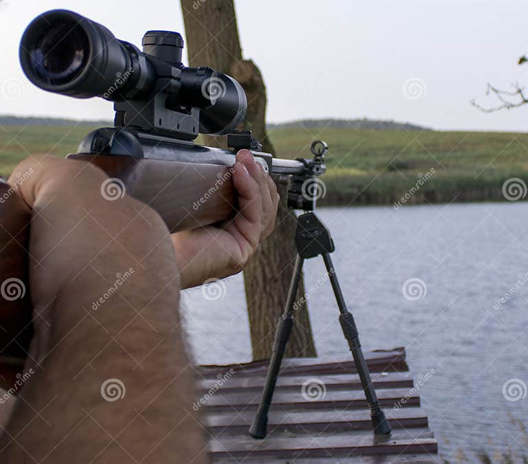 Hunter Shooting with Rifle. Point and Shoot Stock Photo - Image of ...