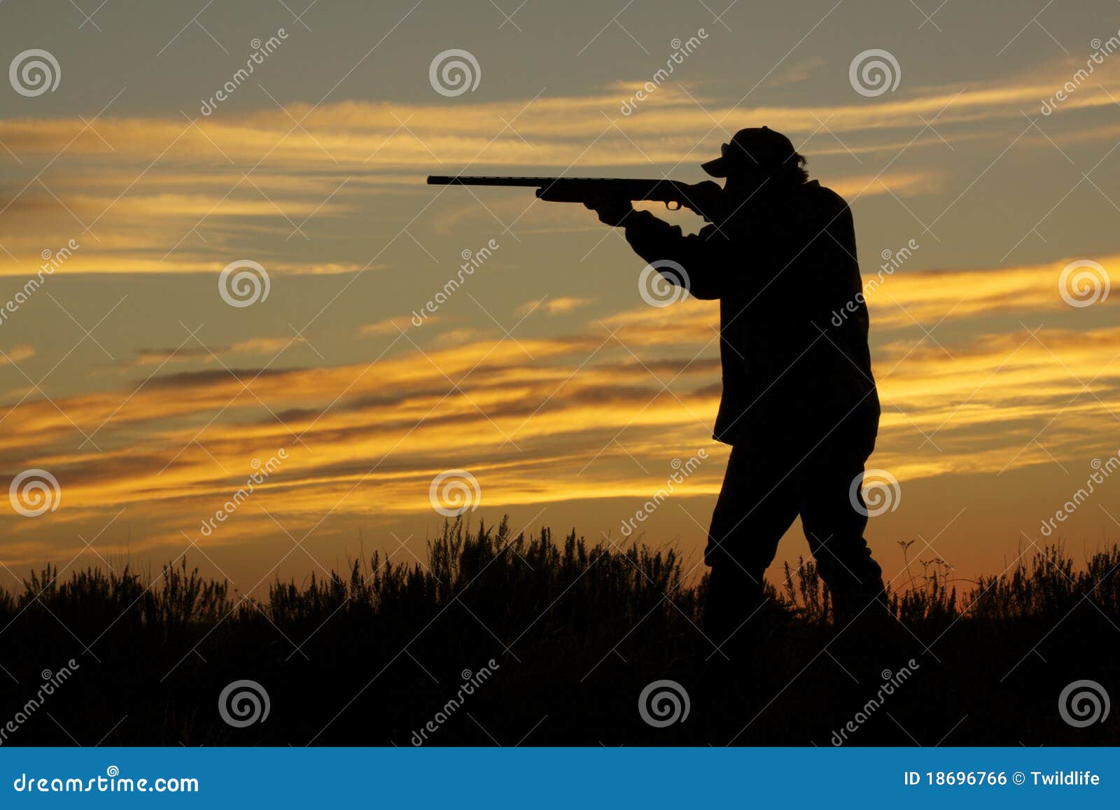 Hunter Shooting in Sunset stock photo. Image of hunt - 18696766