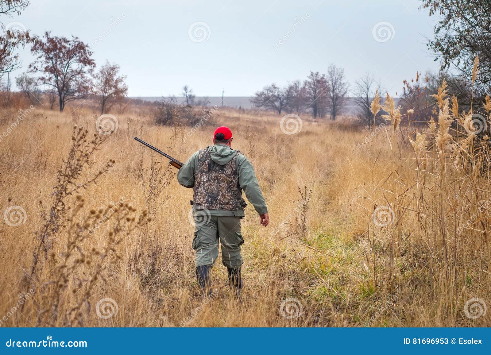 Hunter with Shotgun Looking for Prey Stock Image - Image of male ...
