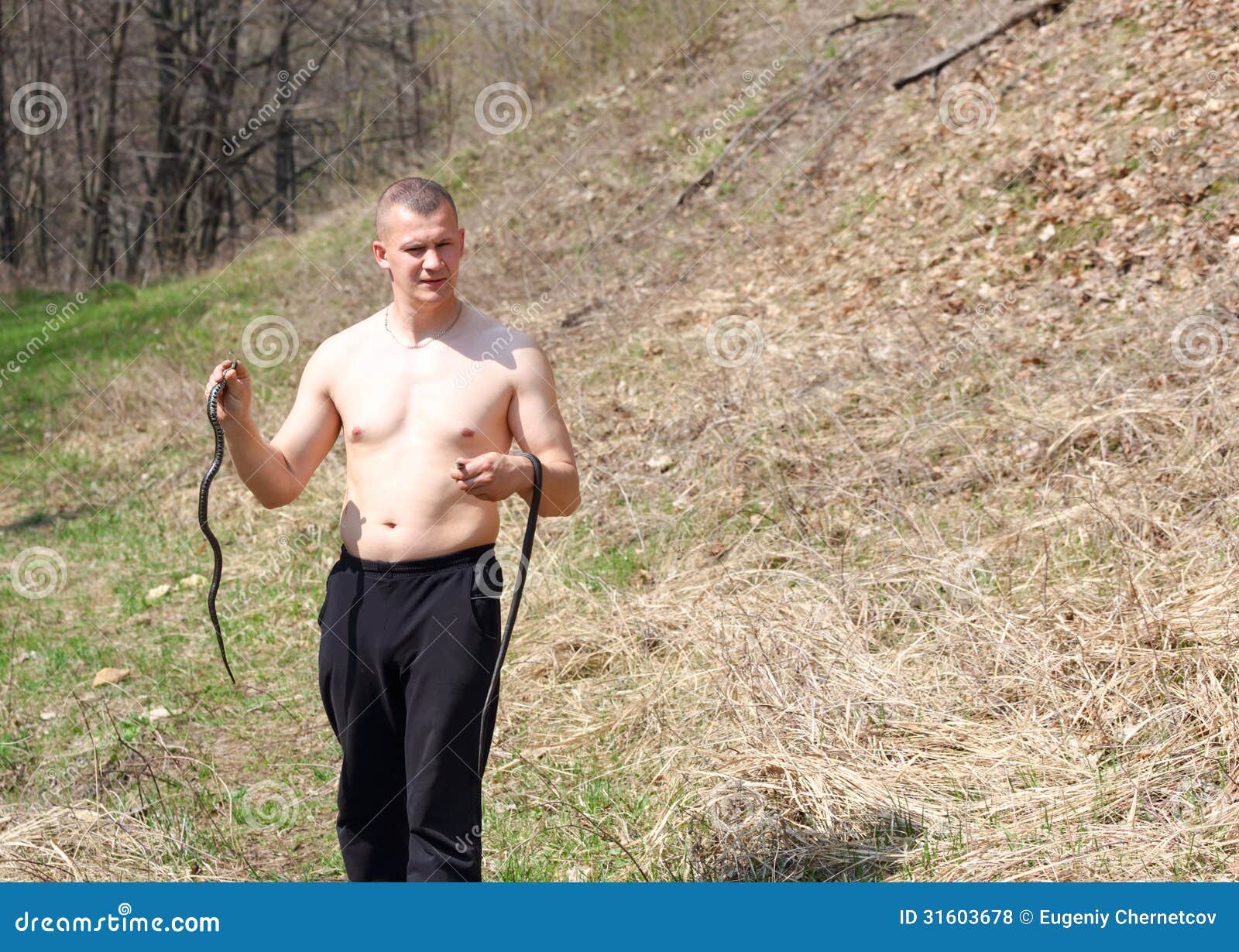 Hunter snakes stock photo. Image of spring, catch, food - 31603678