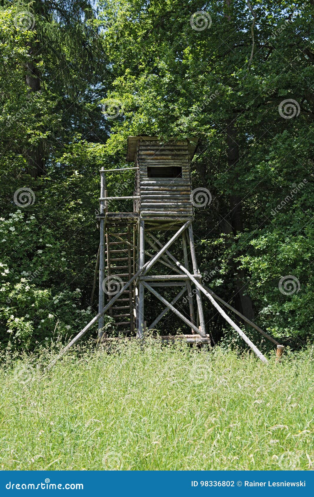 Hunter Stand in Green Summer Forest, Germany Stock Photo - Image of ...