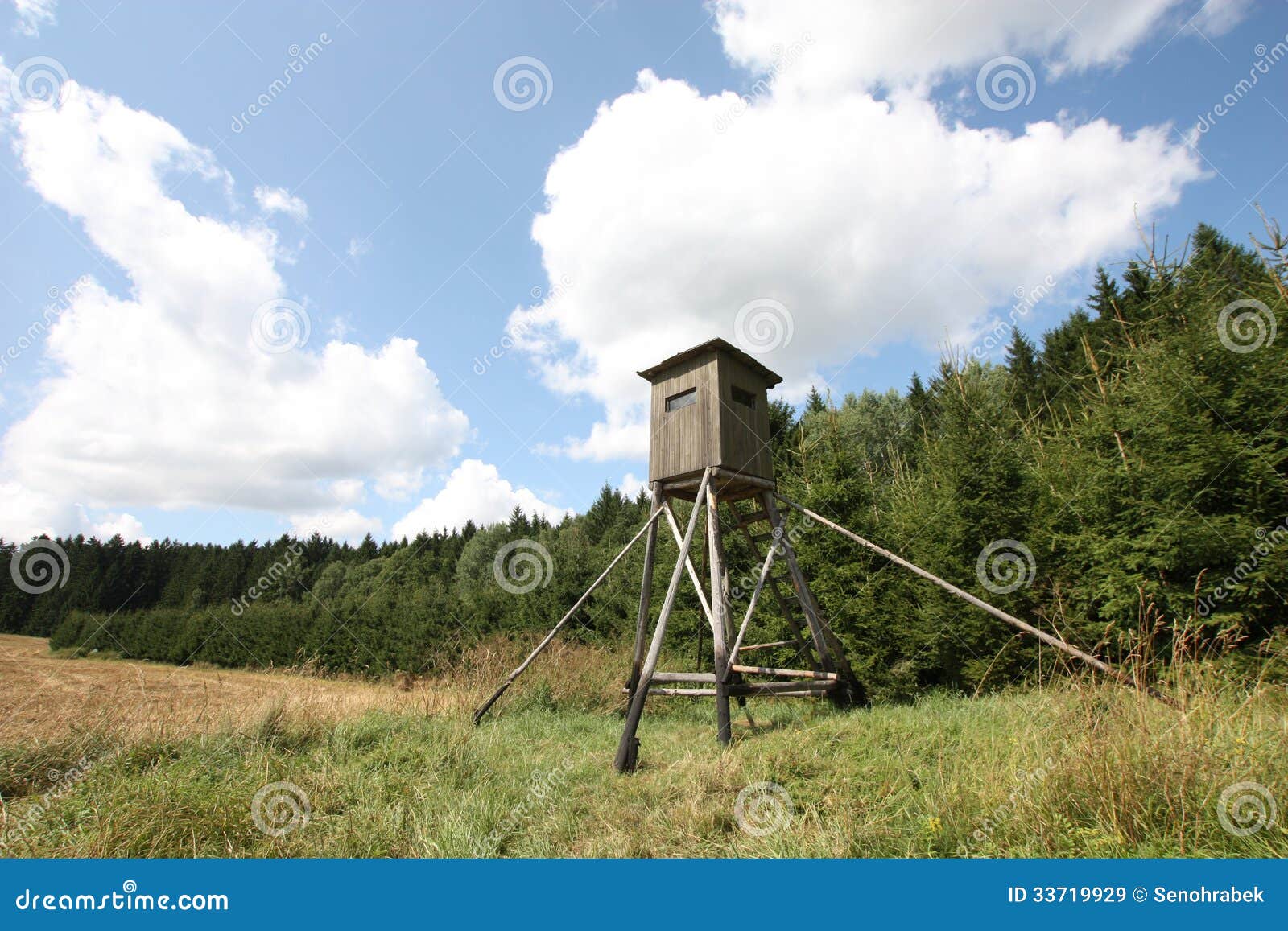 Hunter stand stock image. Image of ladder, path, lane - 33719929