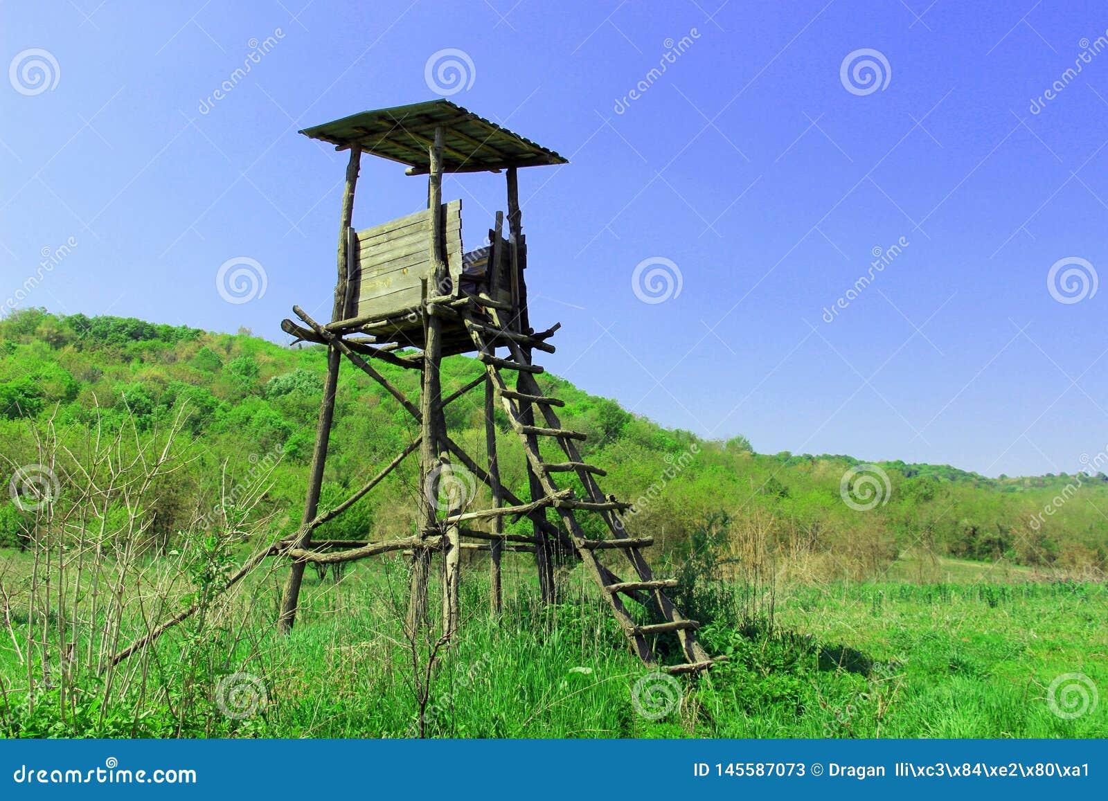 Hunters stand made of wood stock image. Image of bear - 145587073