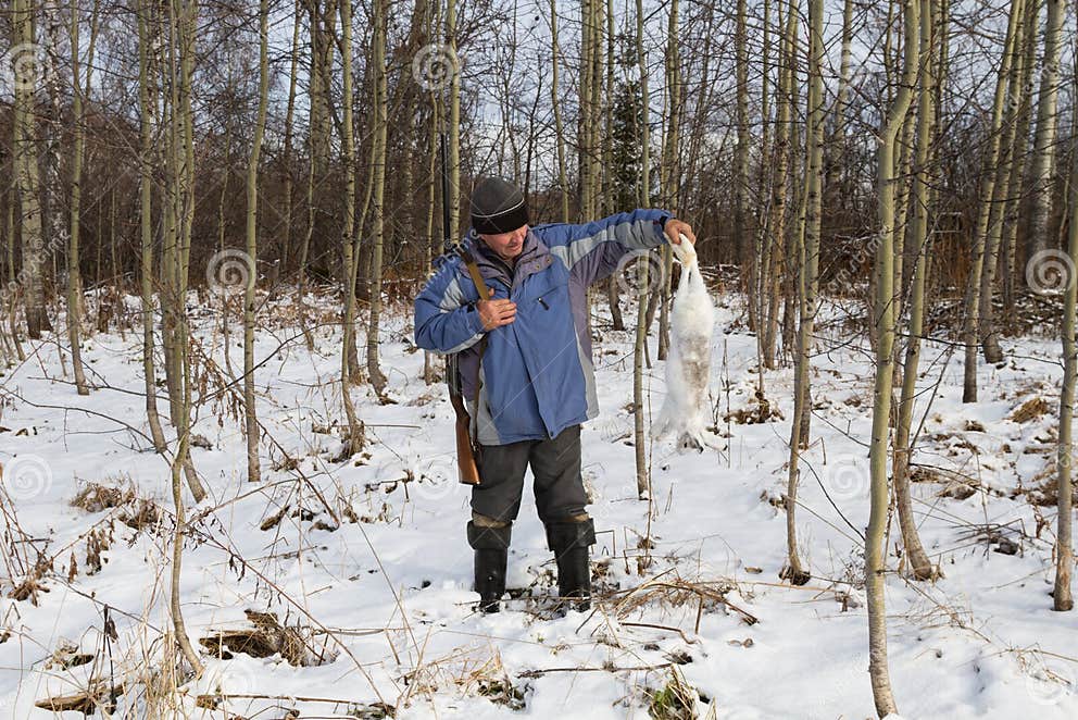 The hunter stock photo. Image of sport, hare, people - 36040522
