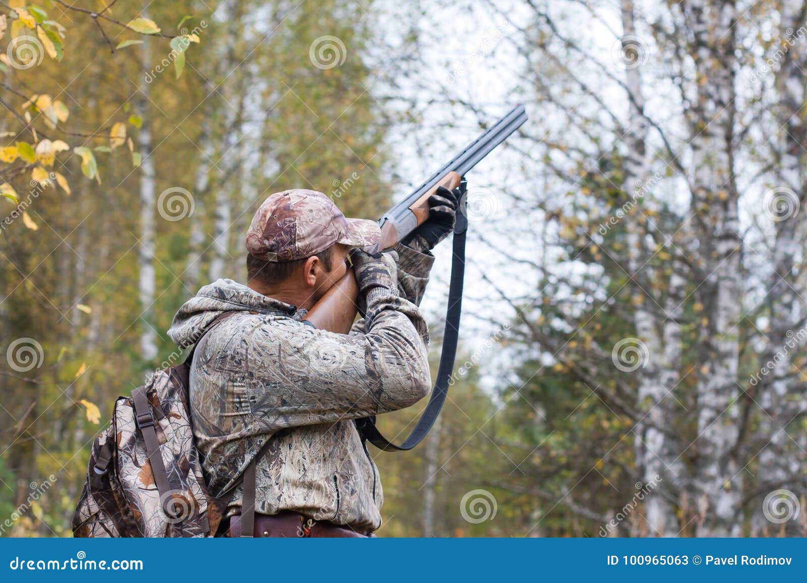 Hunter Taking Aim in the Wildfowl Stock Image - Image of woods ...