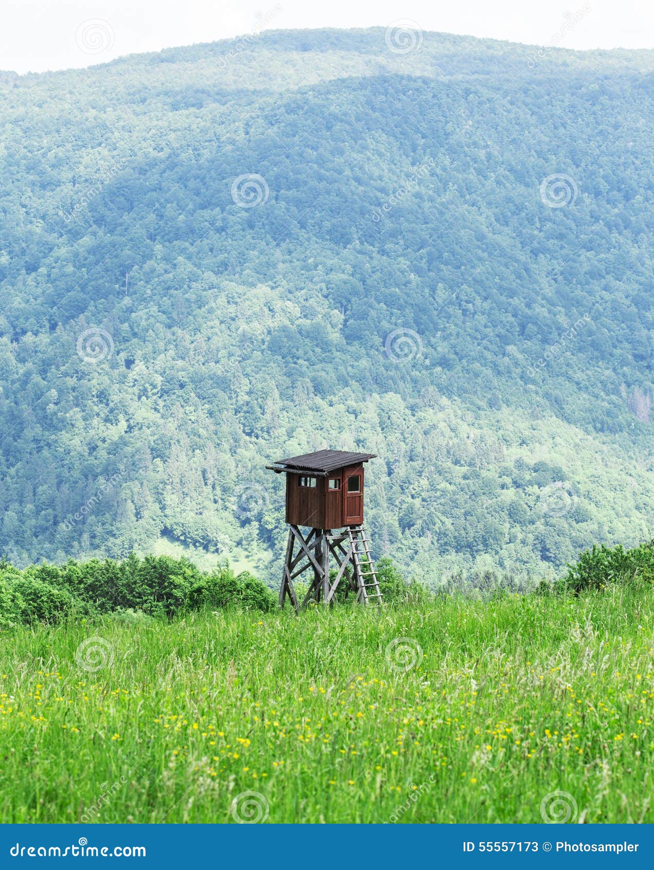 Hunter tower stock image. Image of steps, hunting, moor - 55557173