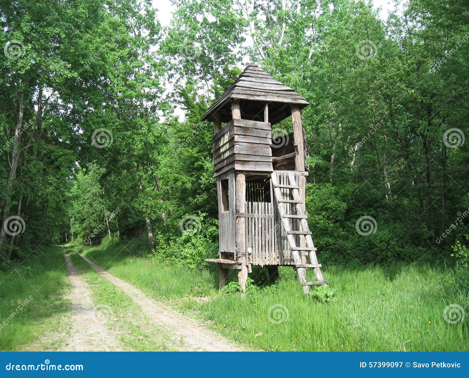 Hunter wait stock image. Image of opening, wait, road - 57399097