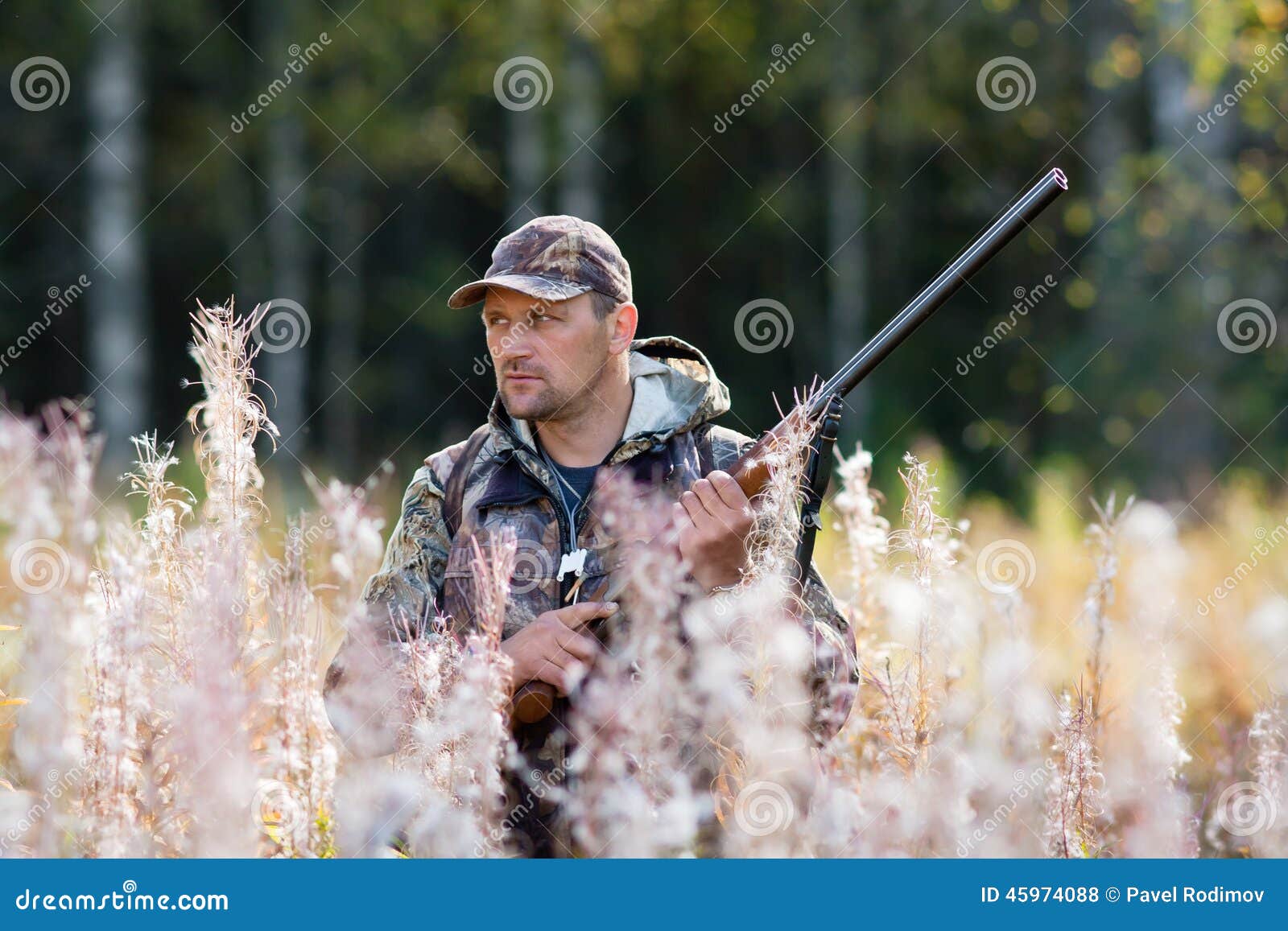 Hunter waiting for prey stock photo. Image of hunt, nature - 45974088