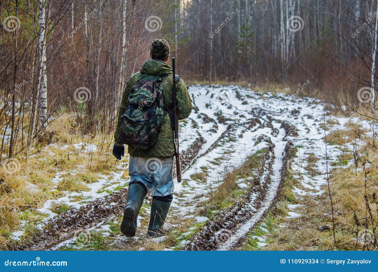 Hunter Walk Along the Forest Road Stock Photo - Image of road, forest ...