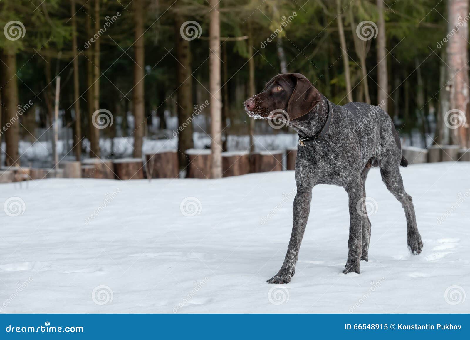 Hunter Walk stock image. Image of beautiful, outside - 66548915