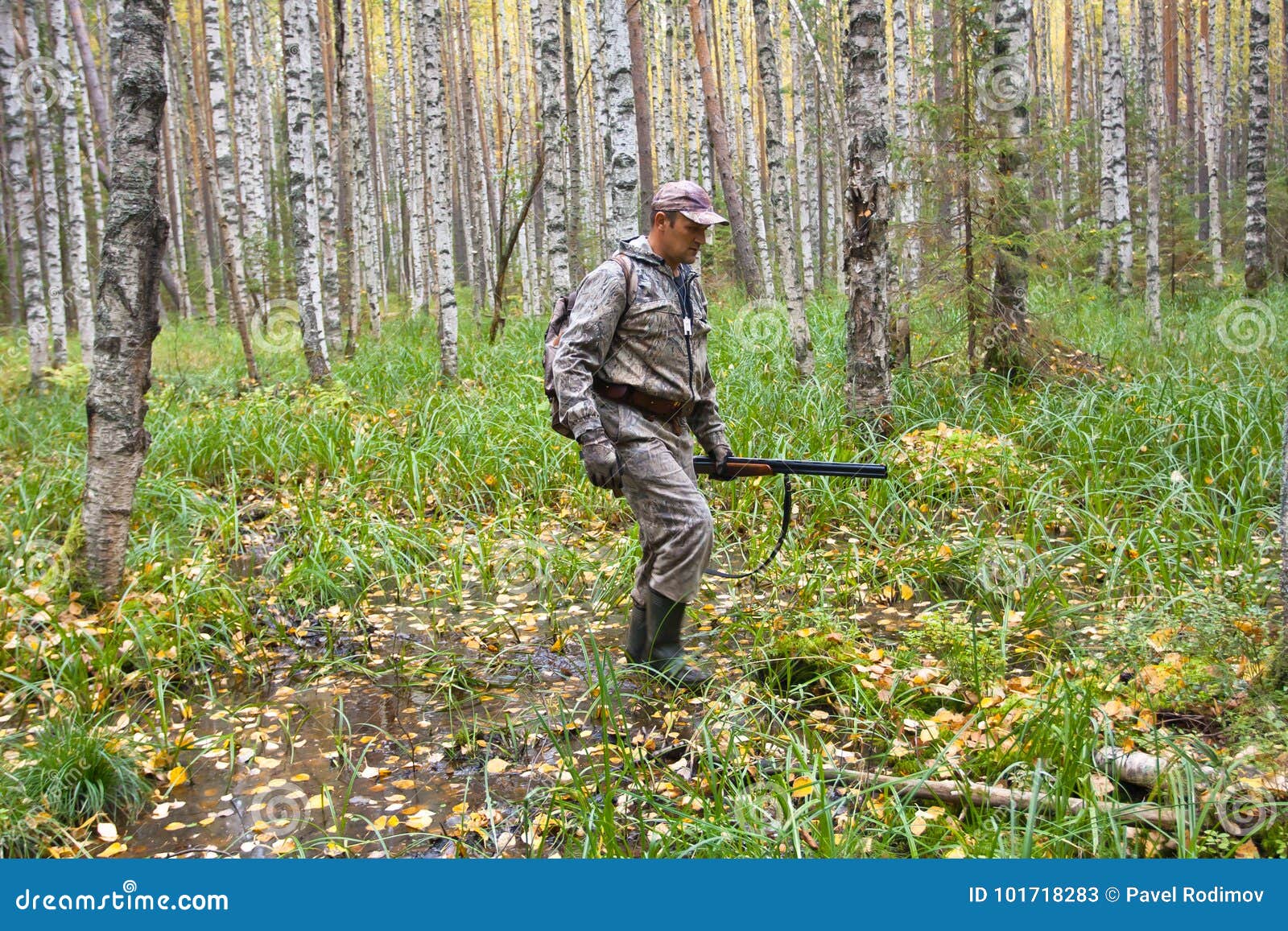 Hunter Walking in the Wetland Forest Stock Image - Image of autumn ...