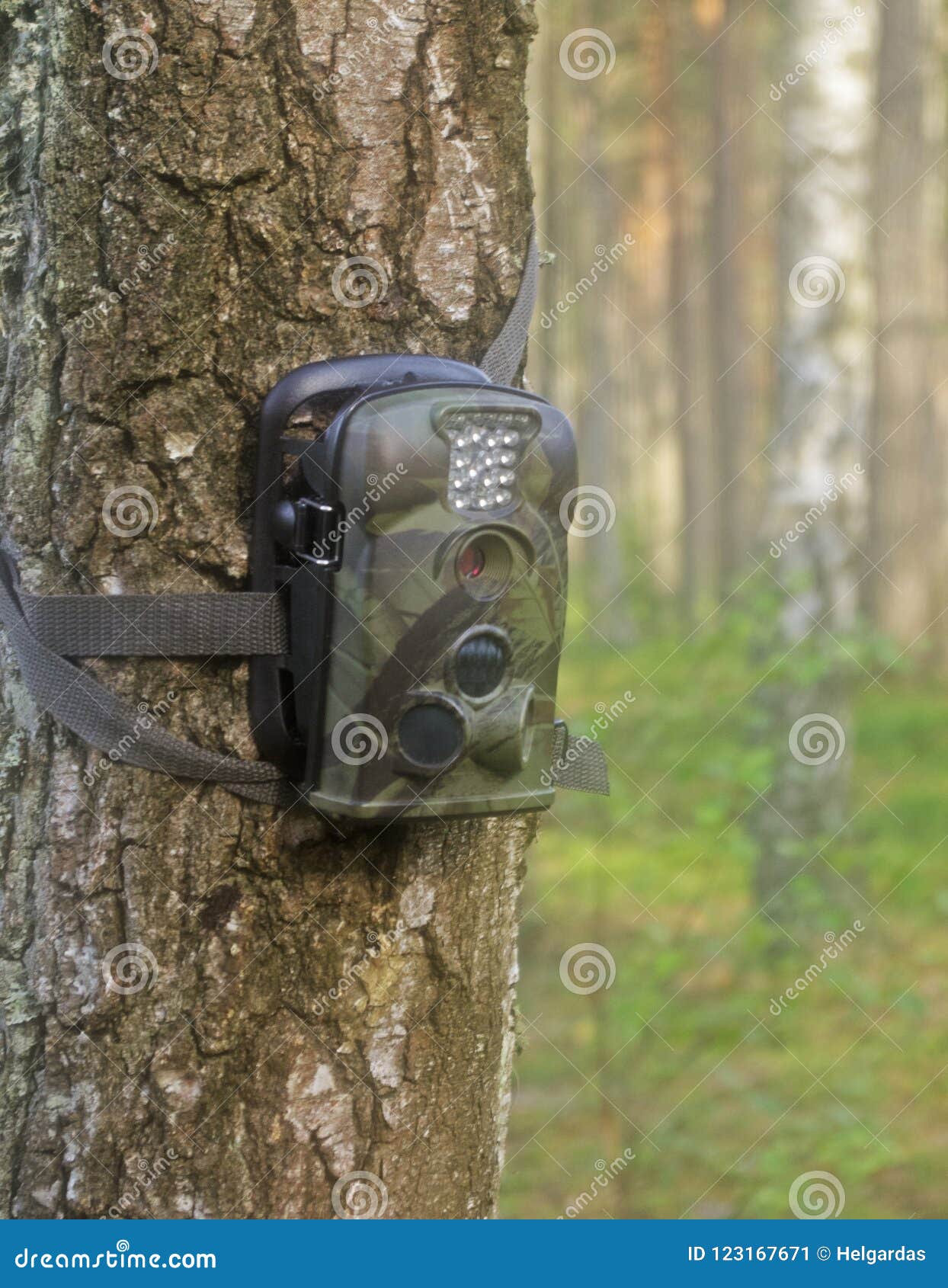 Hunters forest camera stock image. Image of camera, colorful - 123167671