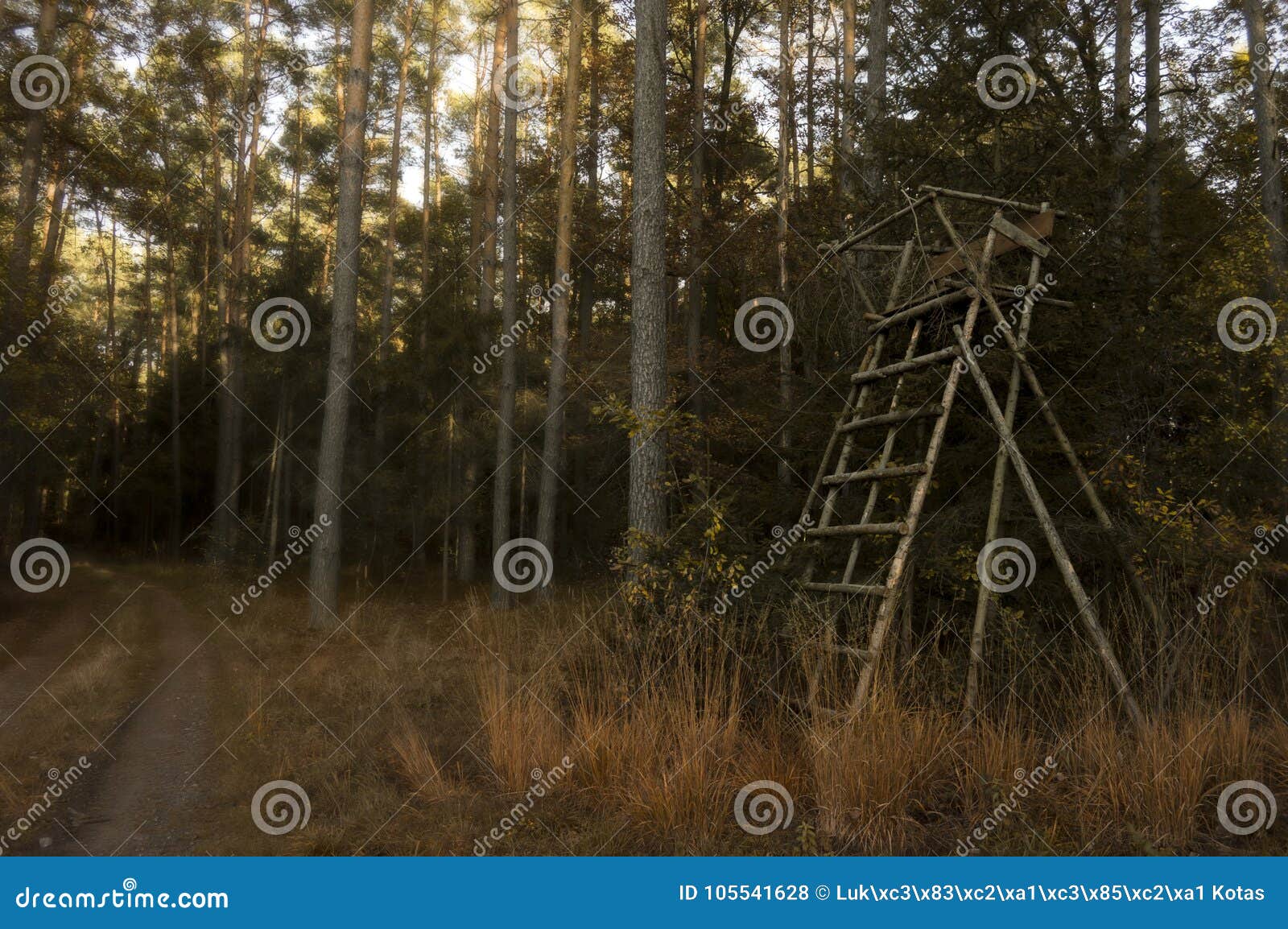 Hunters Hide in the Middle of the Forrest Stock Photo - Image of autumn ...
