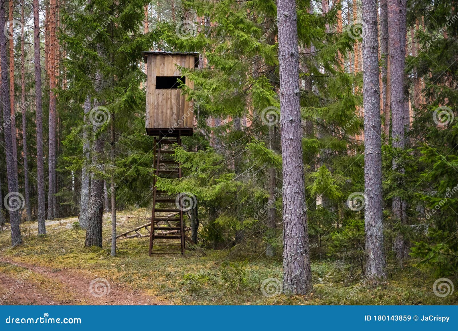 Hunters Hut in the Forest. Hunter Tower or Watch Post in the Wilderness ...