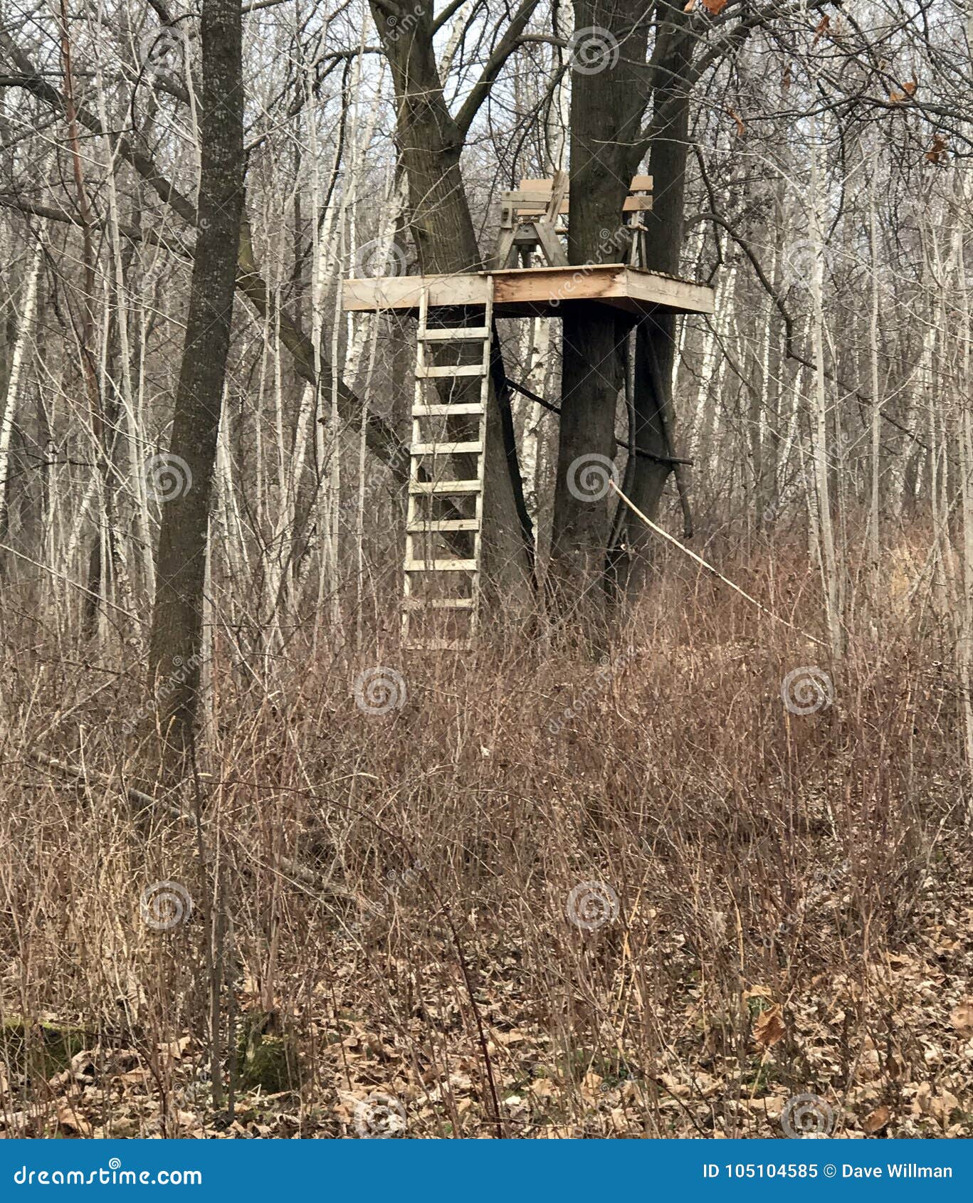 Hunters Treestand in the Forest Stock Image - Image of hunting, season ...